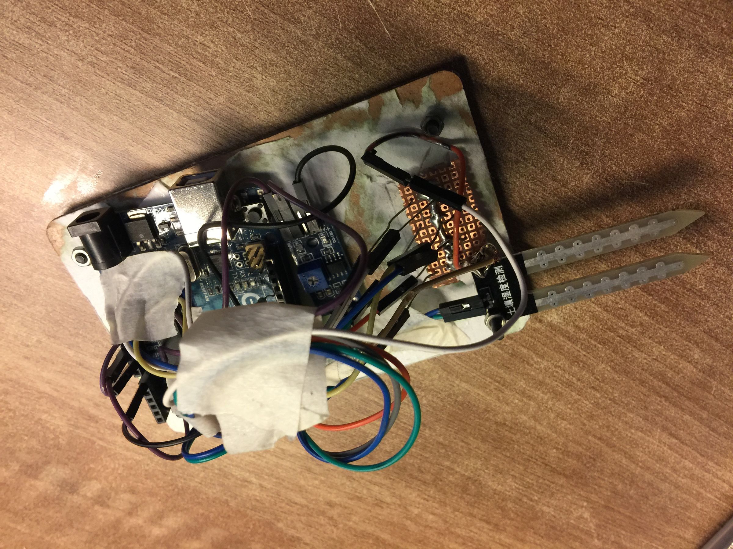 Interactive Plant Mood Detector : 9 Steps (with Pictures) - Instructables