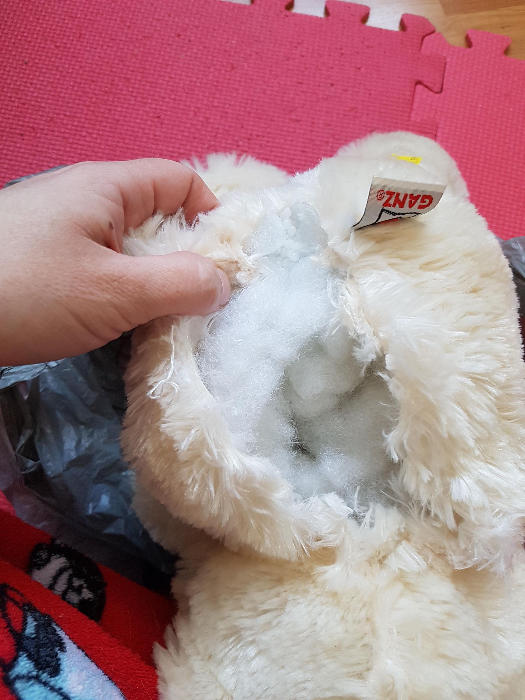 Turn Your Pet Into a Real Life Teddy Bear : 7 Steps (with Pictures ...