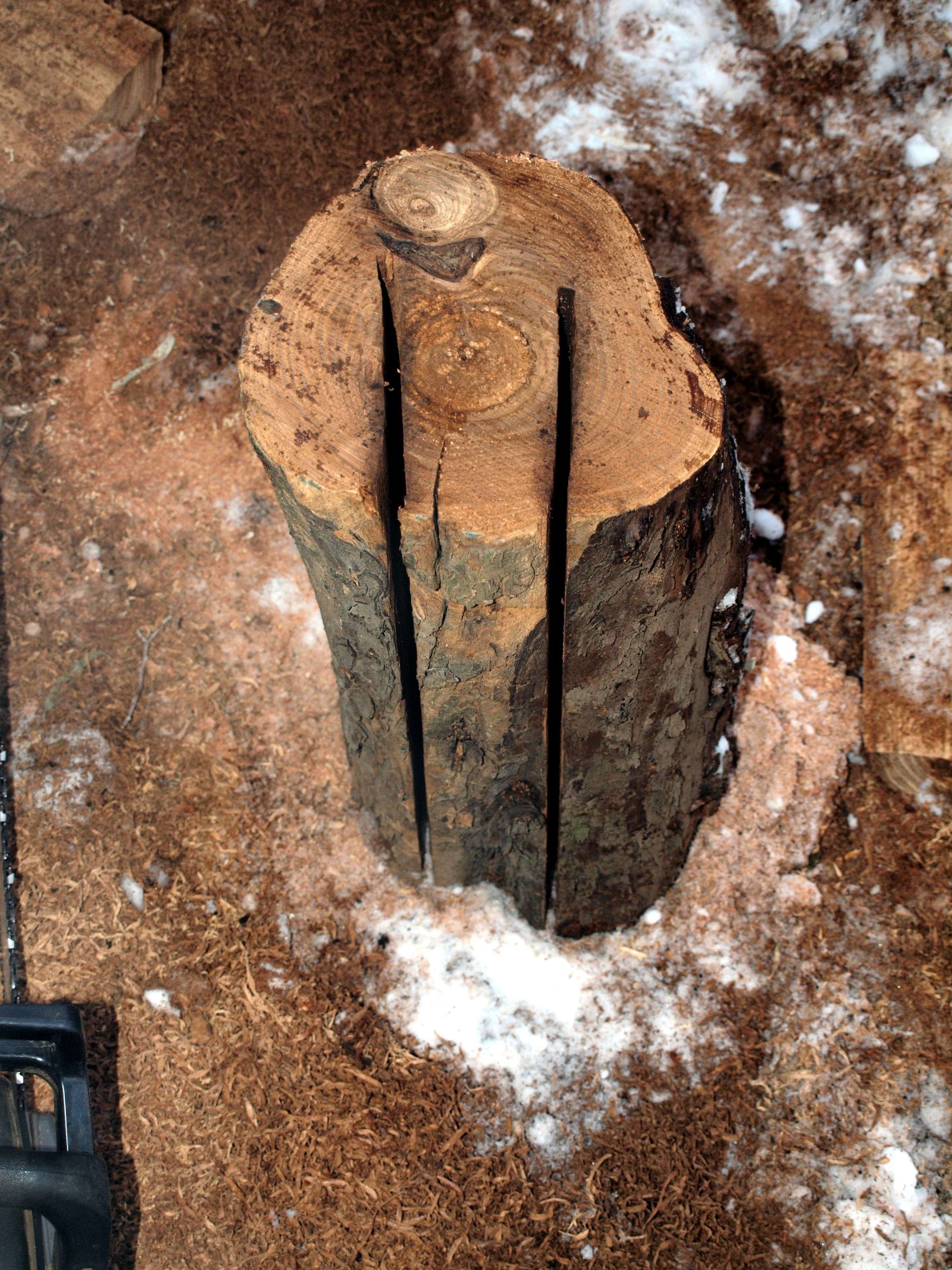 Make a Hardwood Floor That Looks 3D From Your OWN Trees : 11 Steps ...