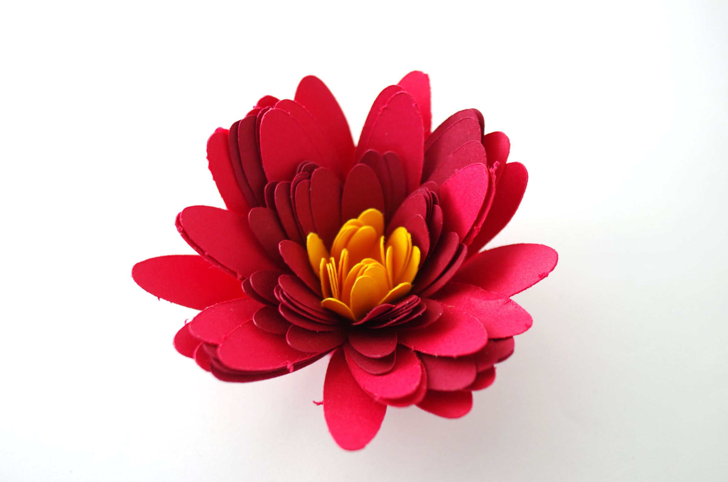 Quilling Flowers : 7 Steps (with Pictures) - Instructables