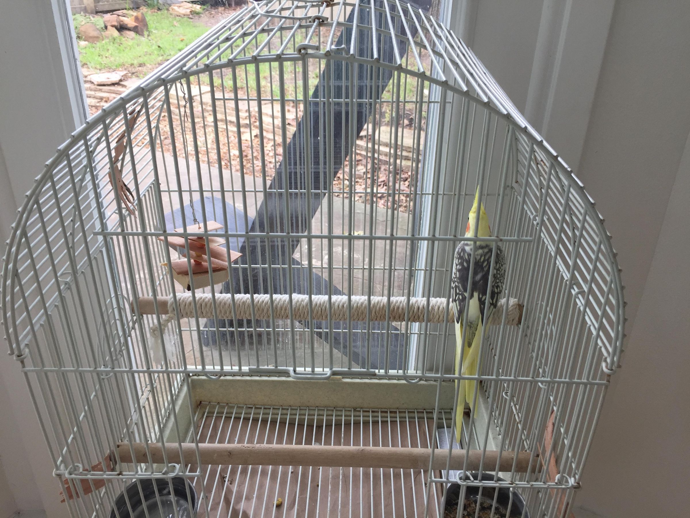 Small Pet Wooden Chew Toy (from Scrap Wood) : 9 Steps - Instructables