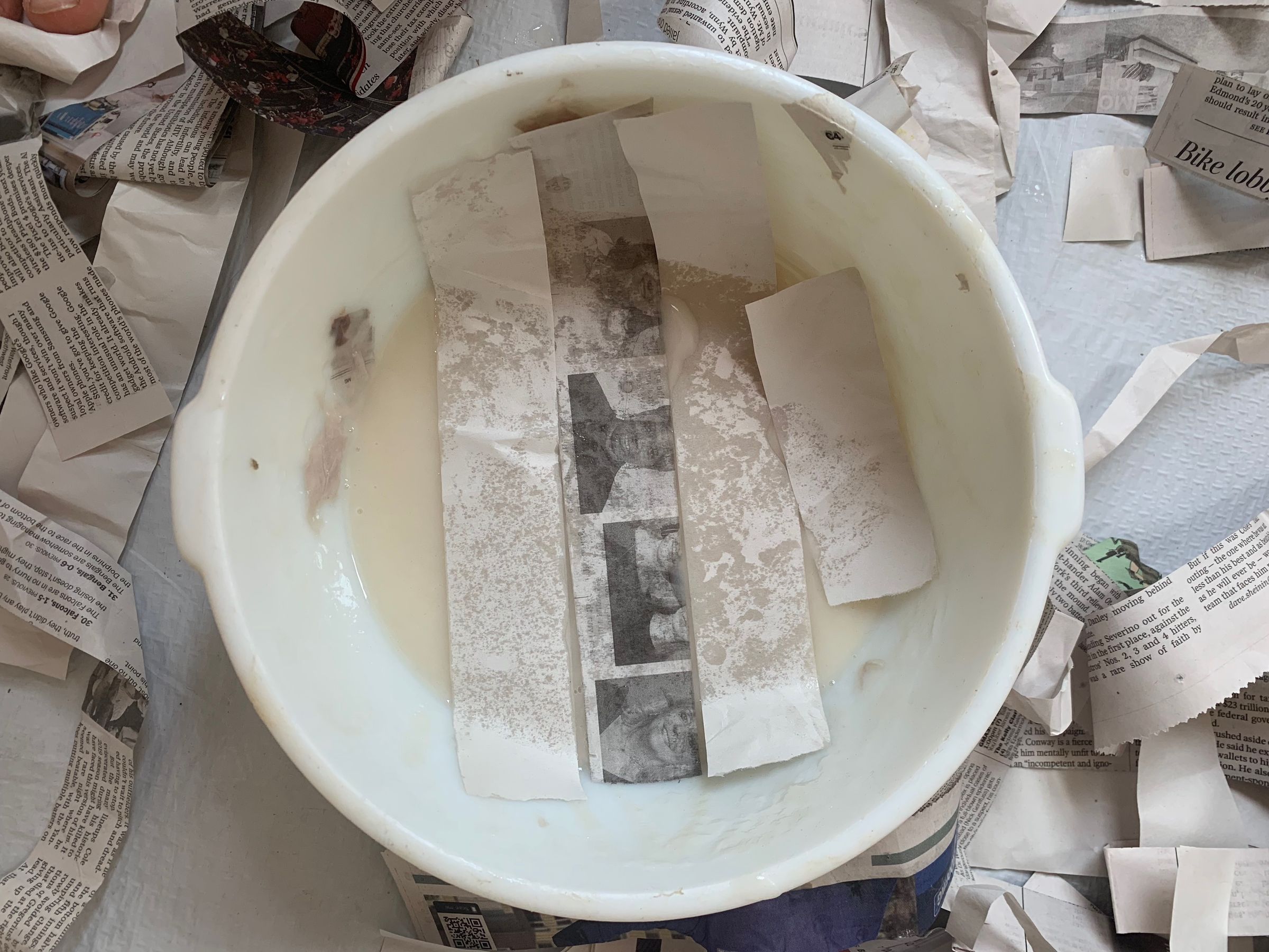 Supersized Paper-Mache House Plant : 8 Steps (with Pictures ...