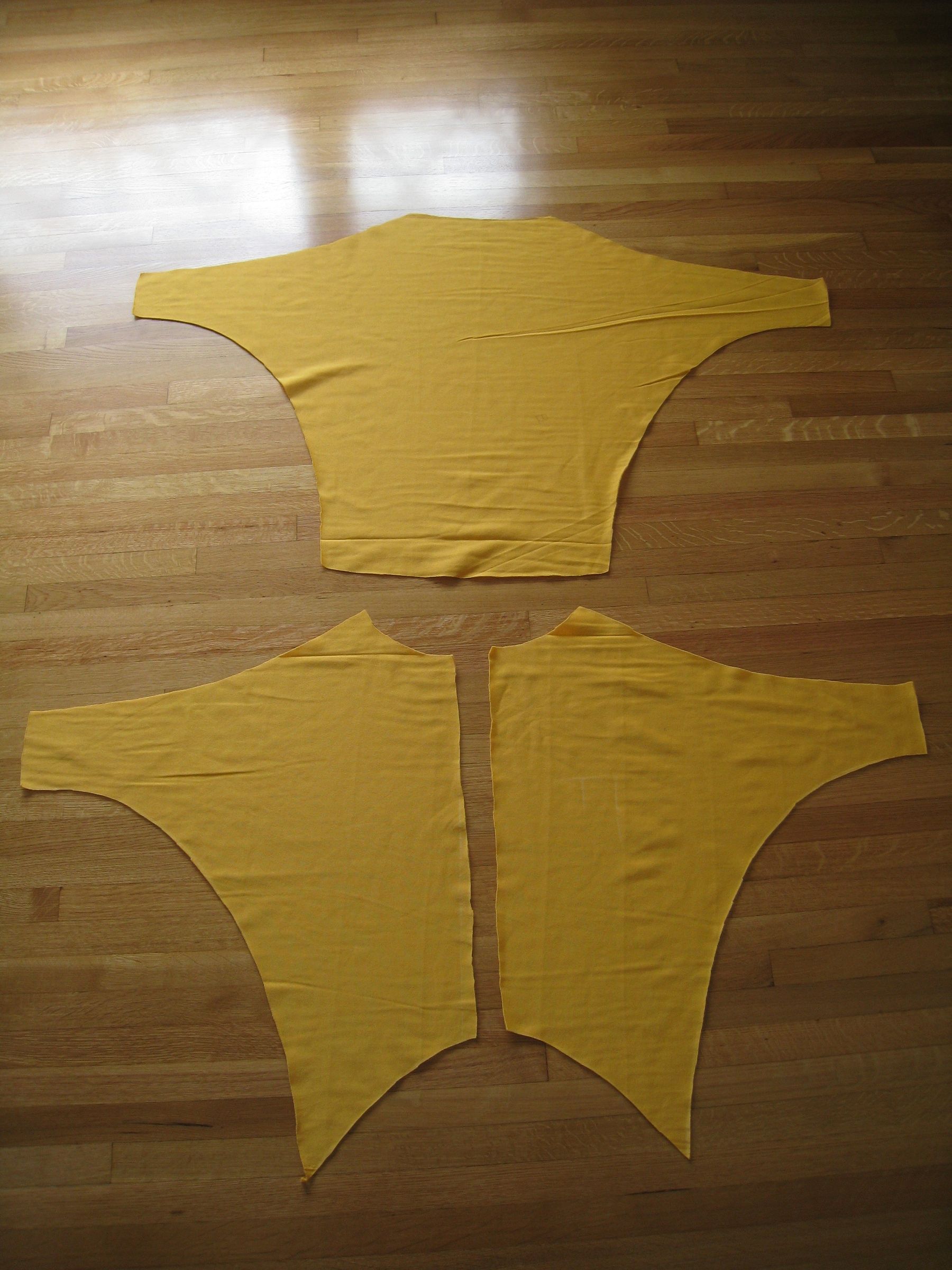 Pikachu: a Flying Squirrel(sort Of....) : 8 Steps (with Pictures ...