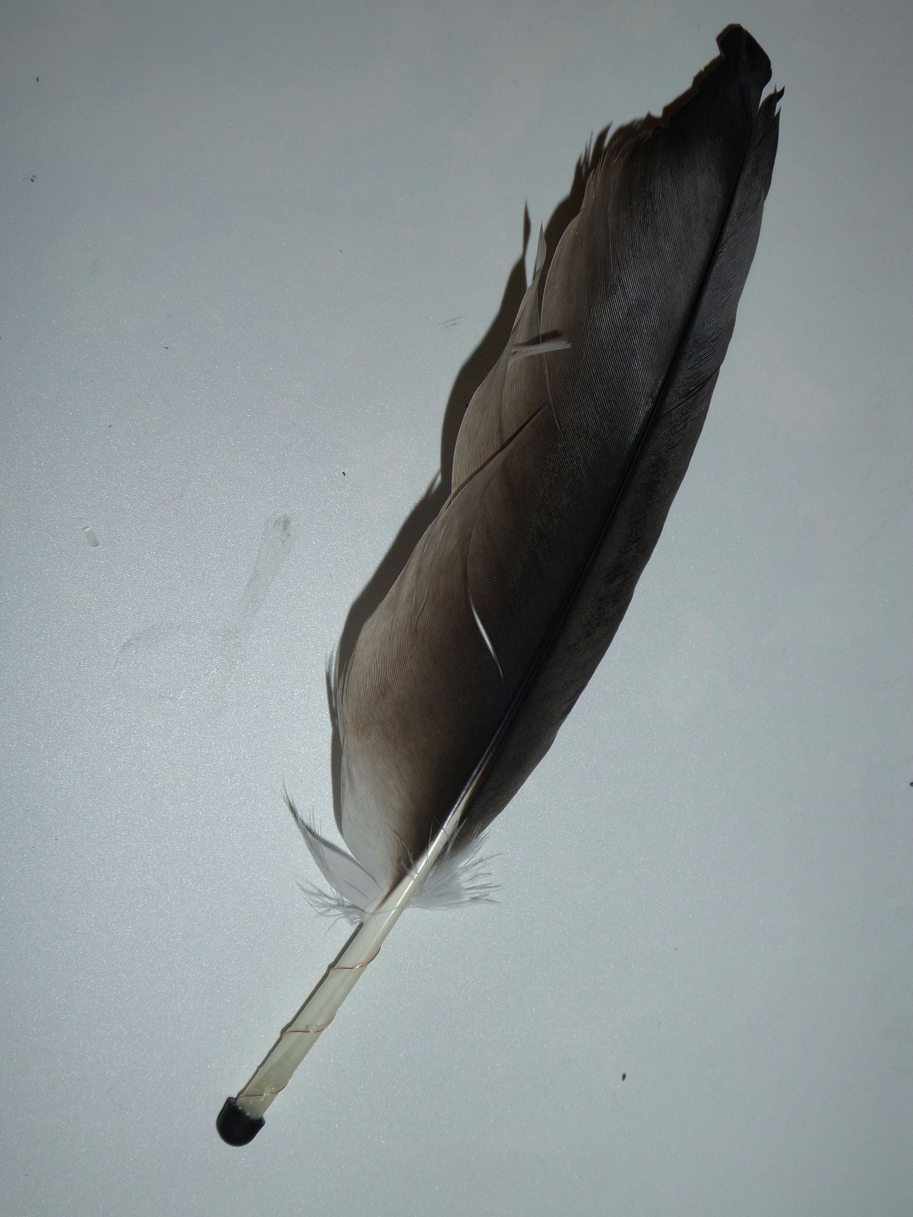 Ways to a Unique Stylus : 6 Steps - Instructables