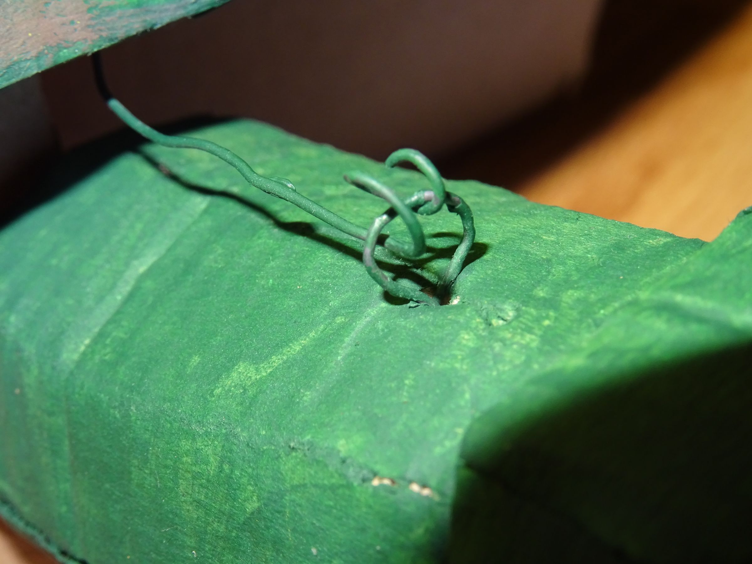 Cardboard Walker Tortoise : 9 Steps (with Pictures) - Instructables