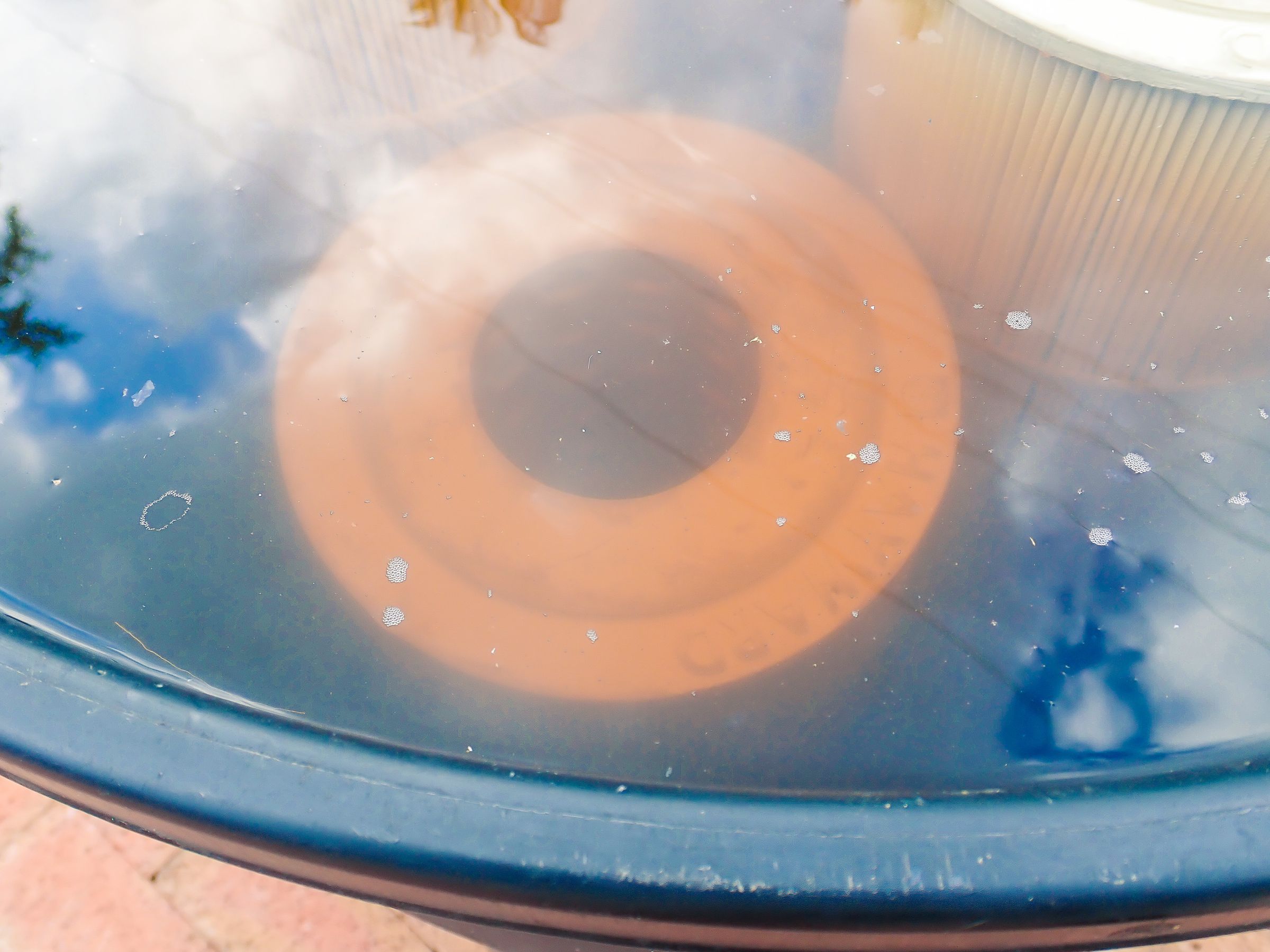 How to Clean a Pool Cartridge Filter System : 15 Steps (with Pictures ...