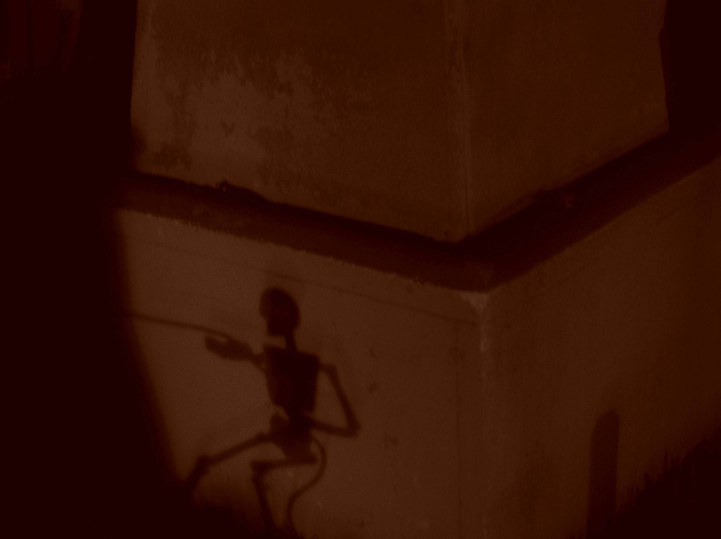 Posable Skelly : 5 Steps (with Pictures) - Instructables