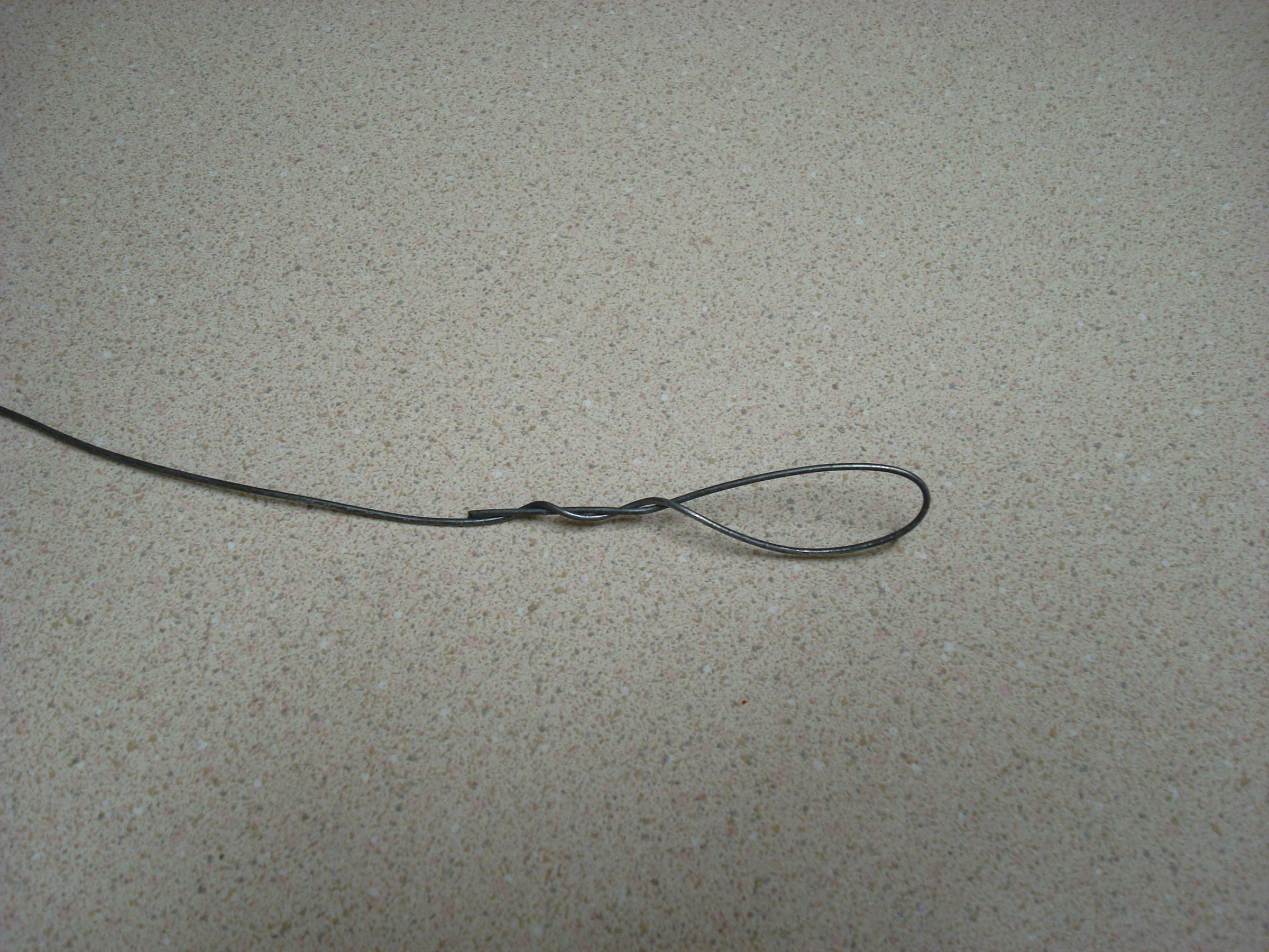 Chili Ristra Monster : 7 Steps - Instructables