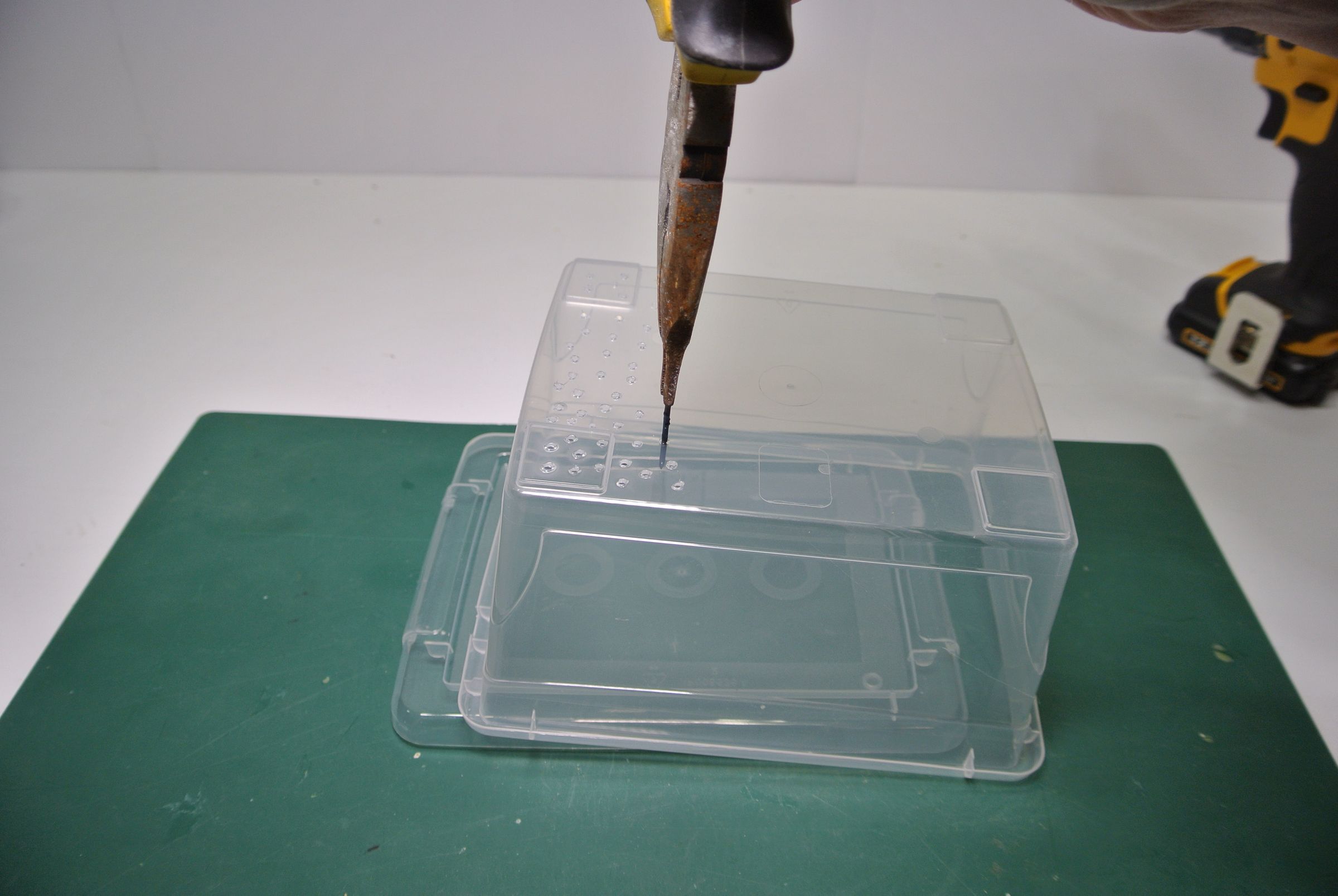Growing Bean Sprouts : 7 Steps (with Pictures) - Instructables