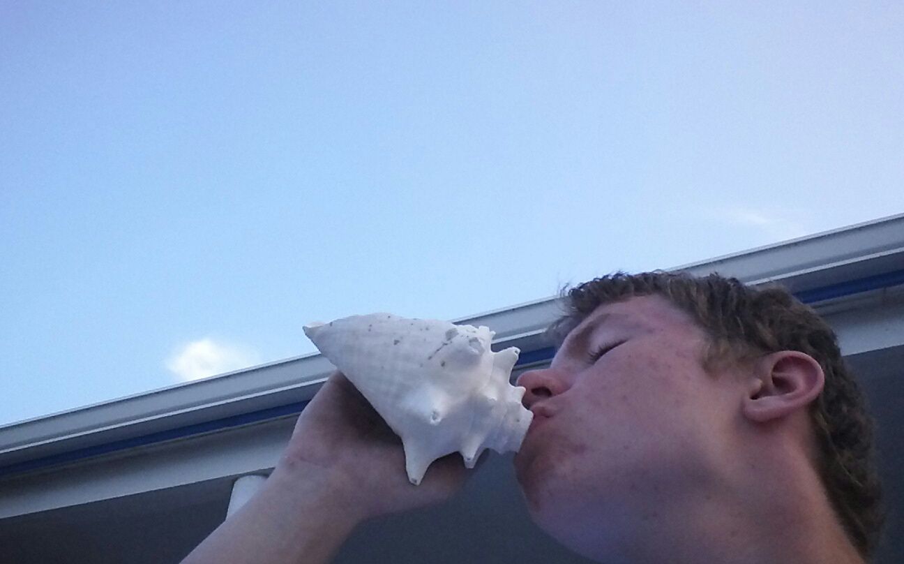 Conch Shell Horn : 5 Steps (with Pictures) - Instructables