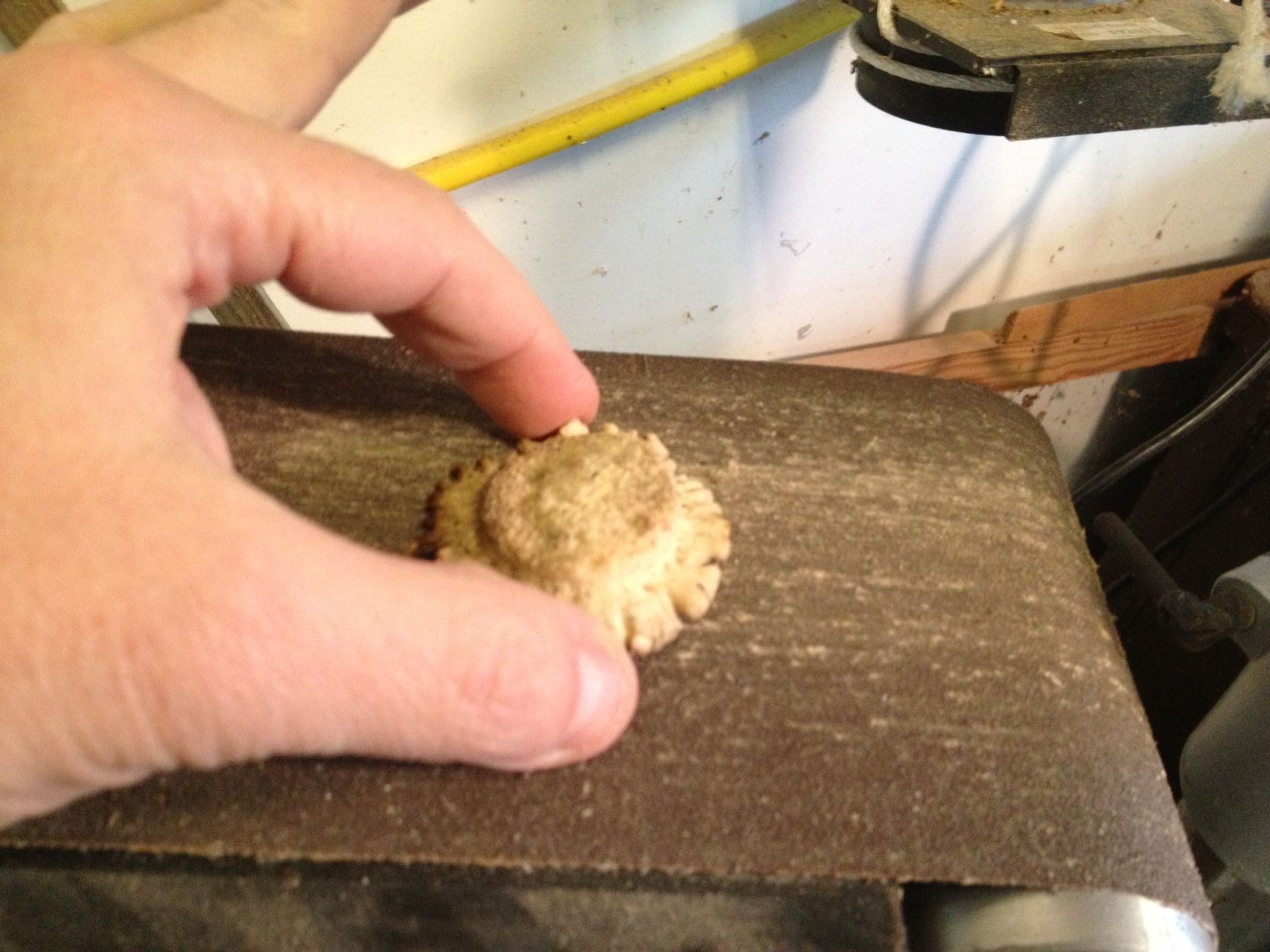 Crafting With Deer Antler : 11 Steps (with Pictures) - Instructables