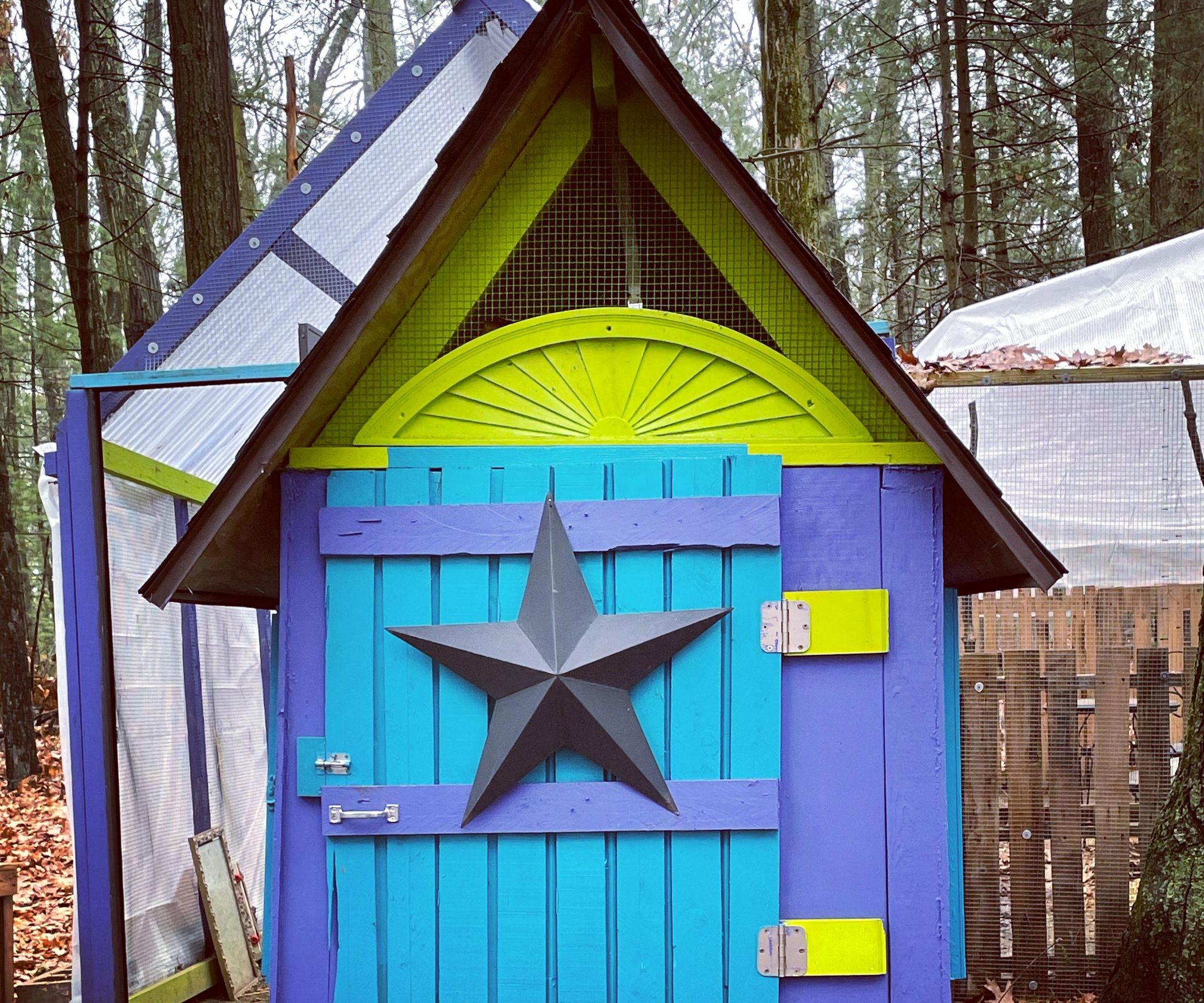 No Carpentry Experience Needed: Plywood Chicken Coop : 12 Steps (with ...
