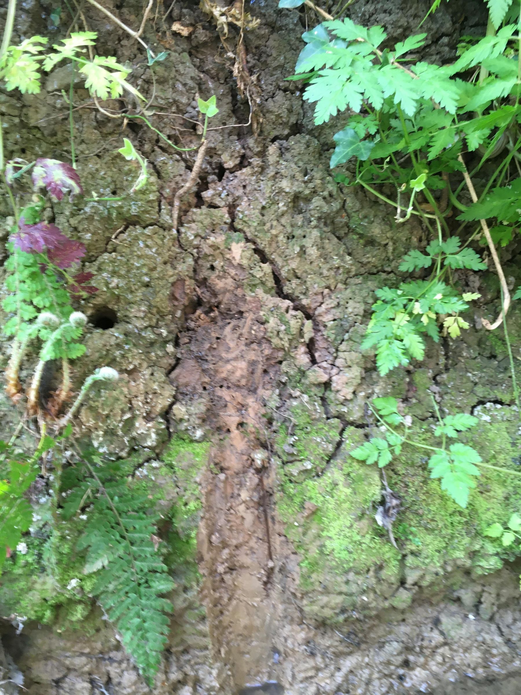 The River Clay Project - From Riverbed to Dining Table : 36 Steps (with ...