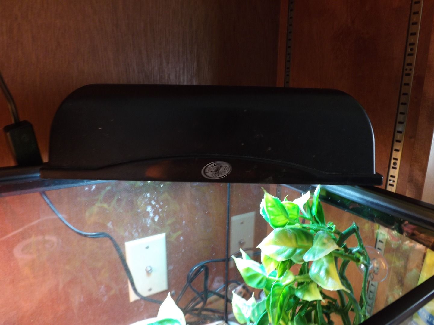 The Proper Way to Set Up a Bearded Dragon Enclosure : 5 Steps (with ...