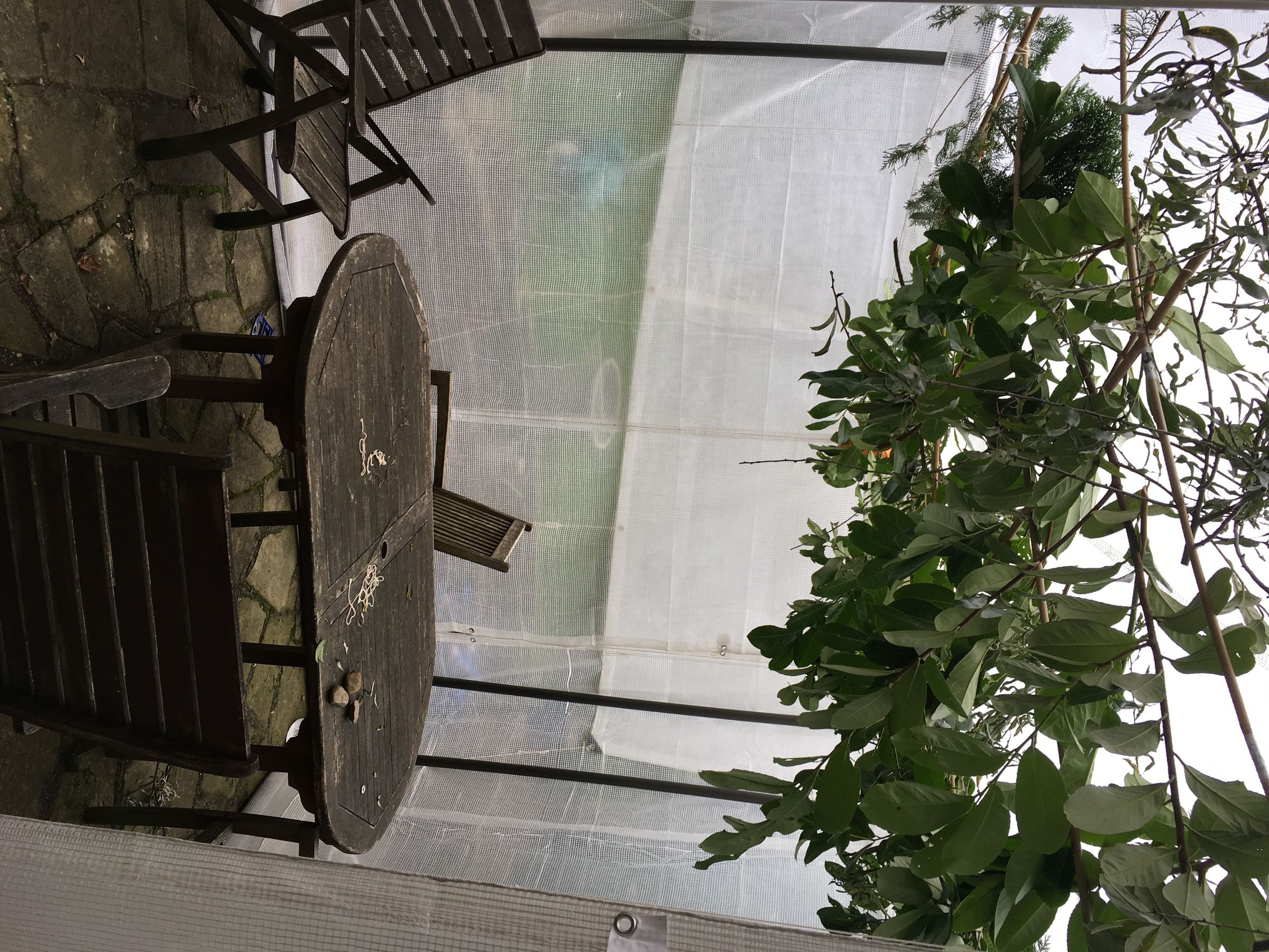 UPDATED! Simple DIY Sukkah - Build Your Own From PVC Pipe - Free ...