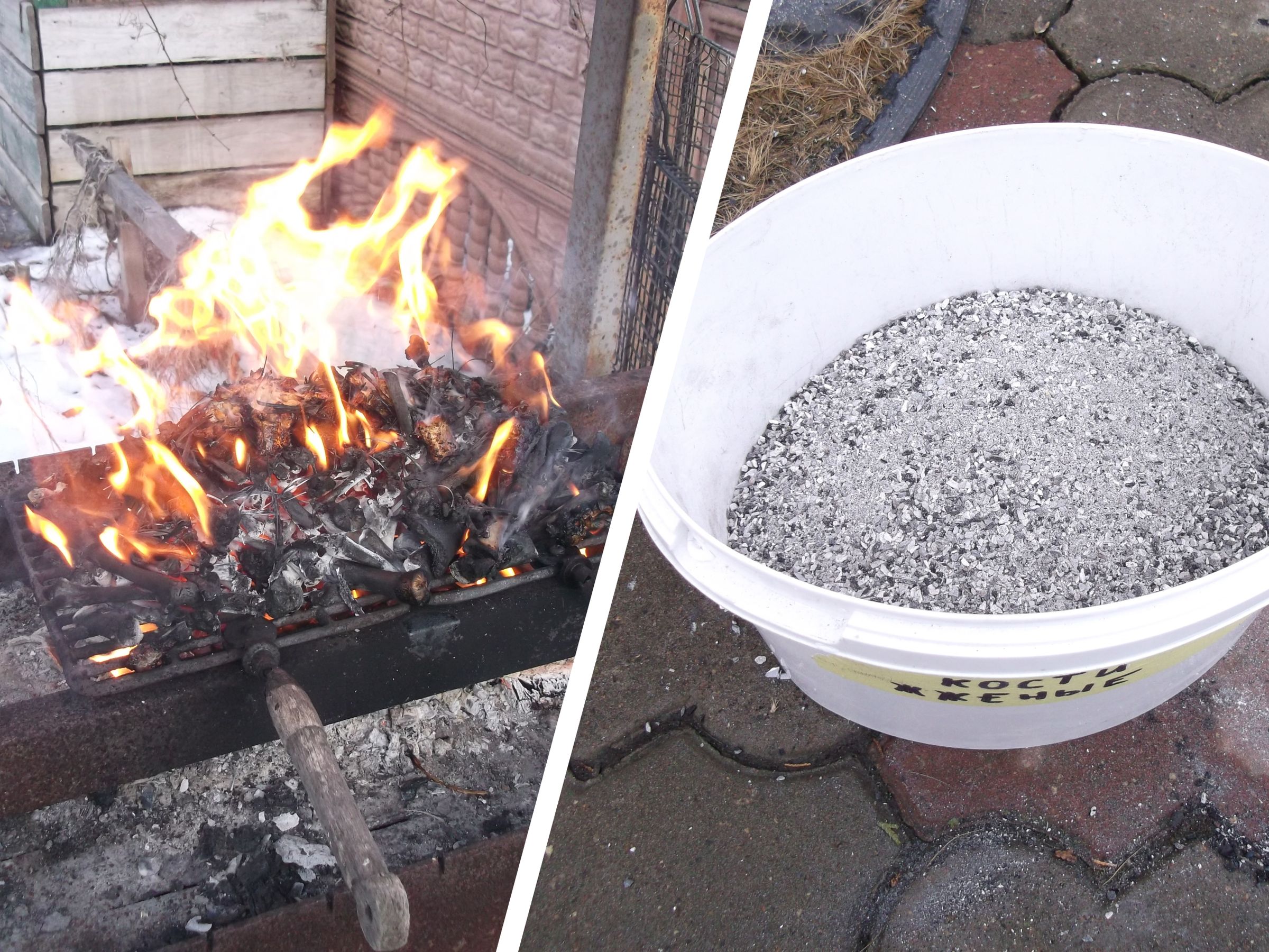 Animal Bones As Fuel and Fertilizer : 6 Steps (with Pictures ...