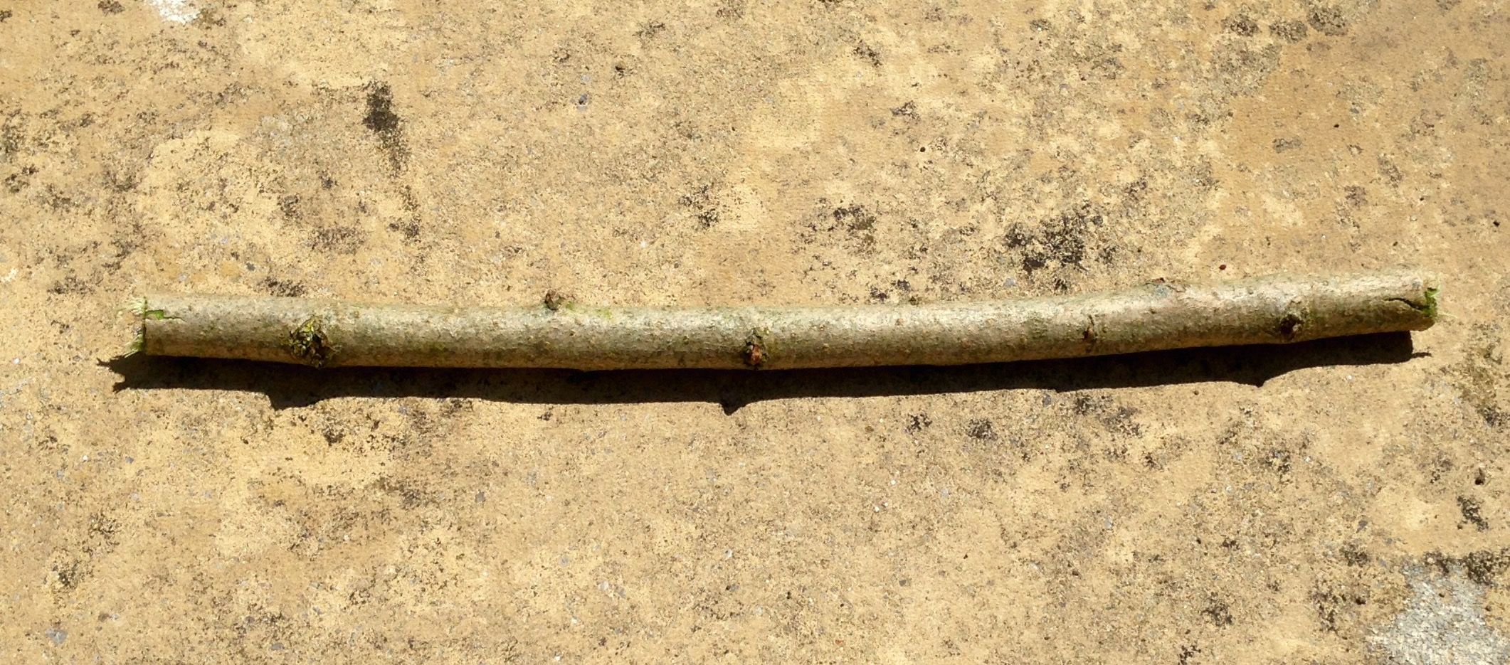 How to Make a Clay Tablet : 6 Steps - Instructables