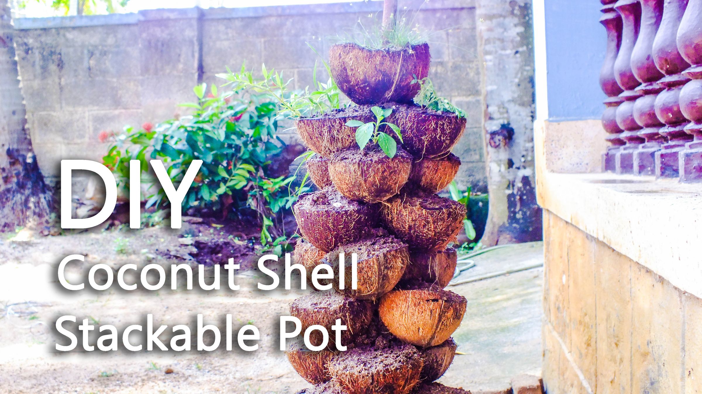 Coconut Shell Stackable Pot : 5 Steps (with Pictures) - Instructables