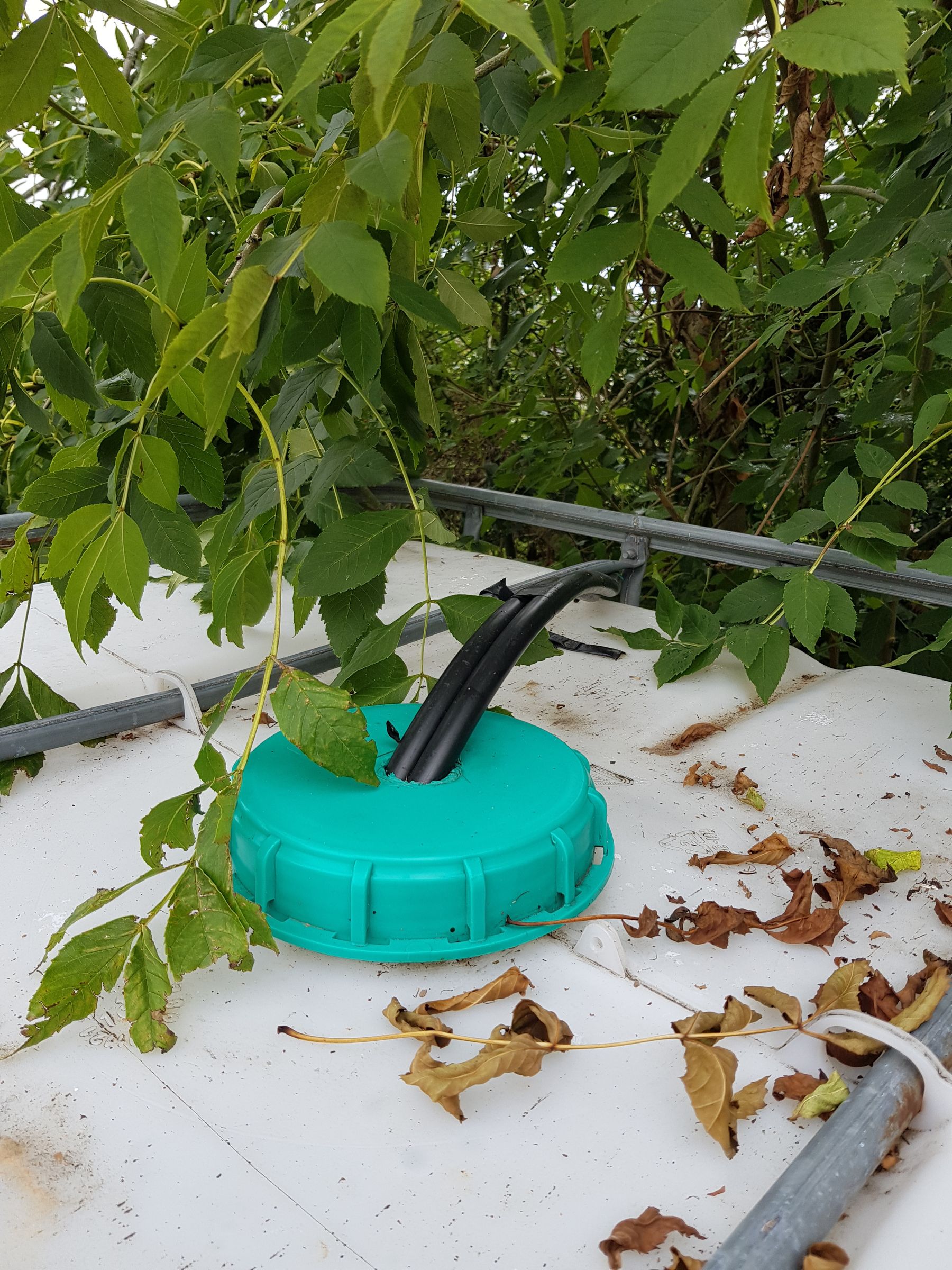 How I Made My Garden Water Storage System (July 2020) : 4 Steps (with ...