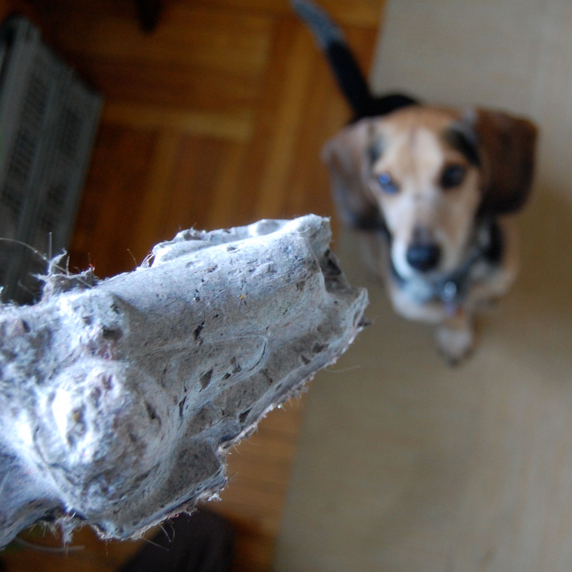 Modeling Clay Out of Laundry Lint : 4 Steps (with Pictures) - Instructables