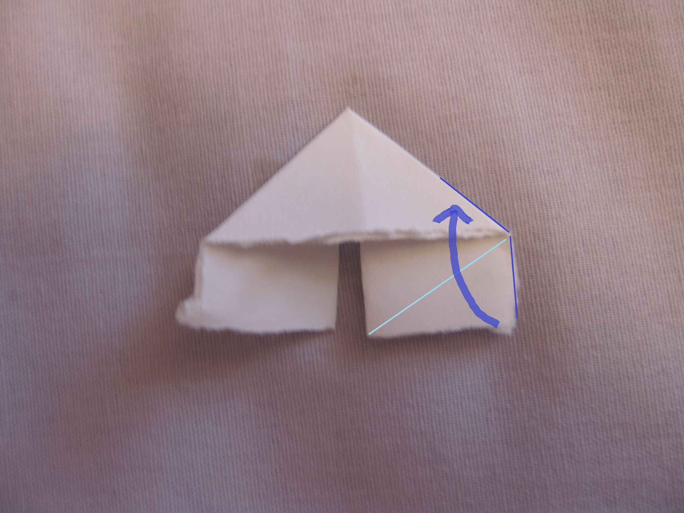 Modular Origami Swan : 11 Steps (with Pictures) - Instructables