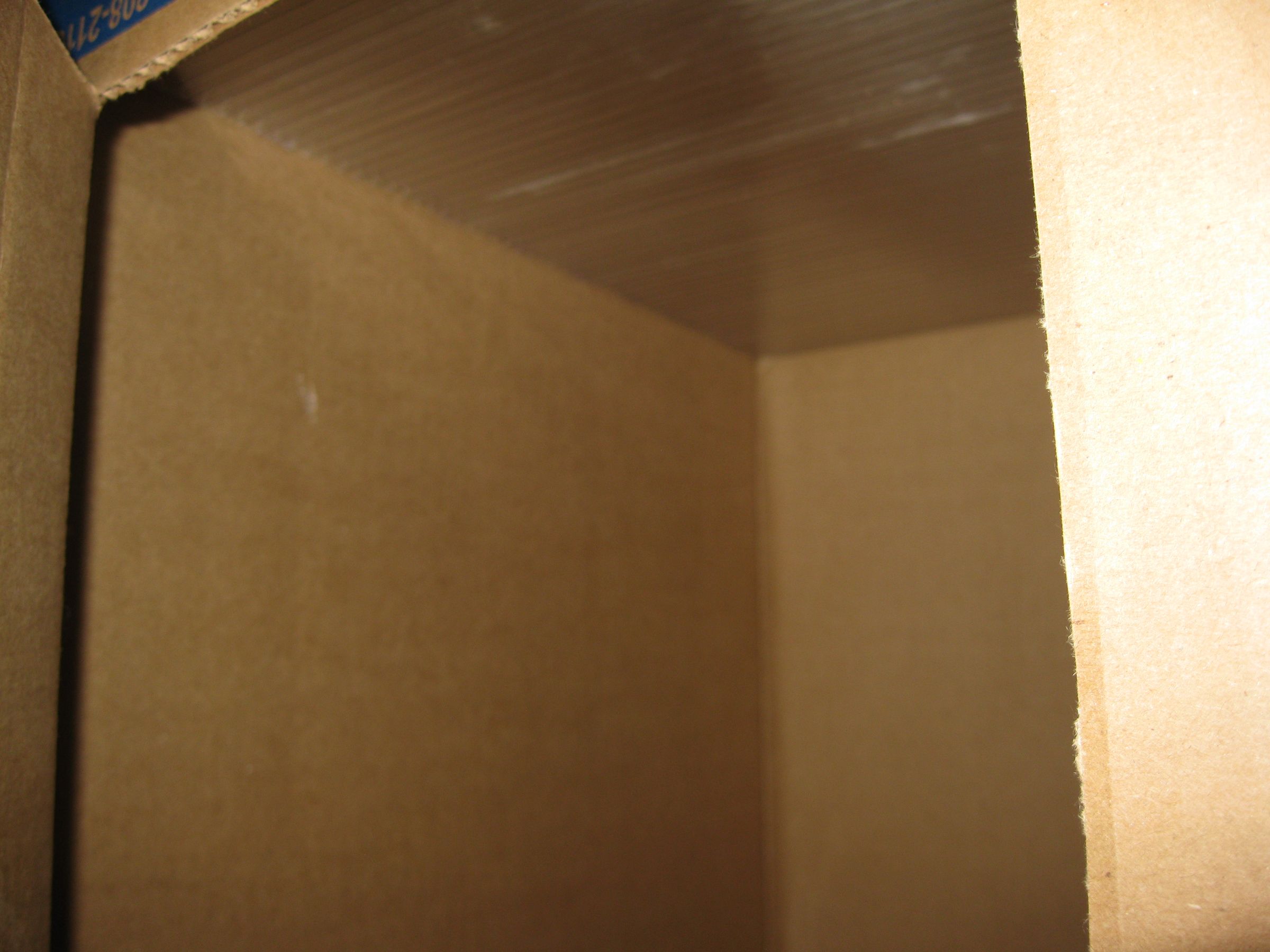 Plant Experiment With Light : 6 Steps - Instructables