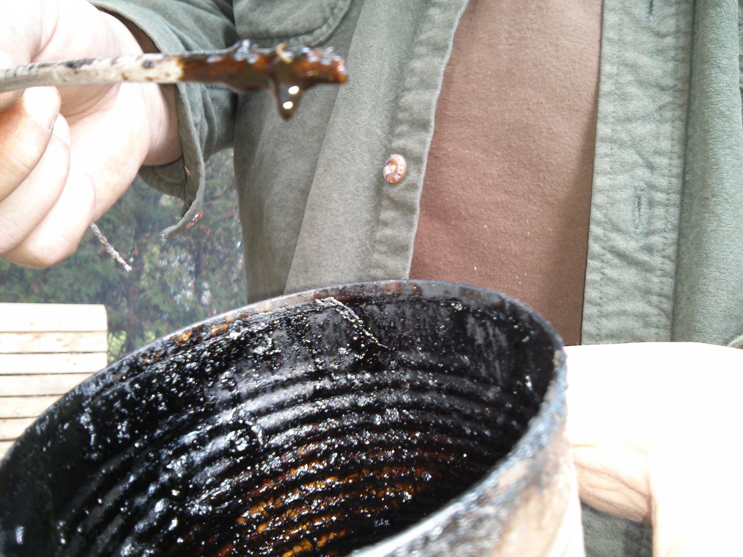 Birch Tar Resin for Paleo Crafts and Tool Making : 7 Steps (with ...