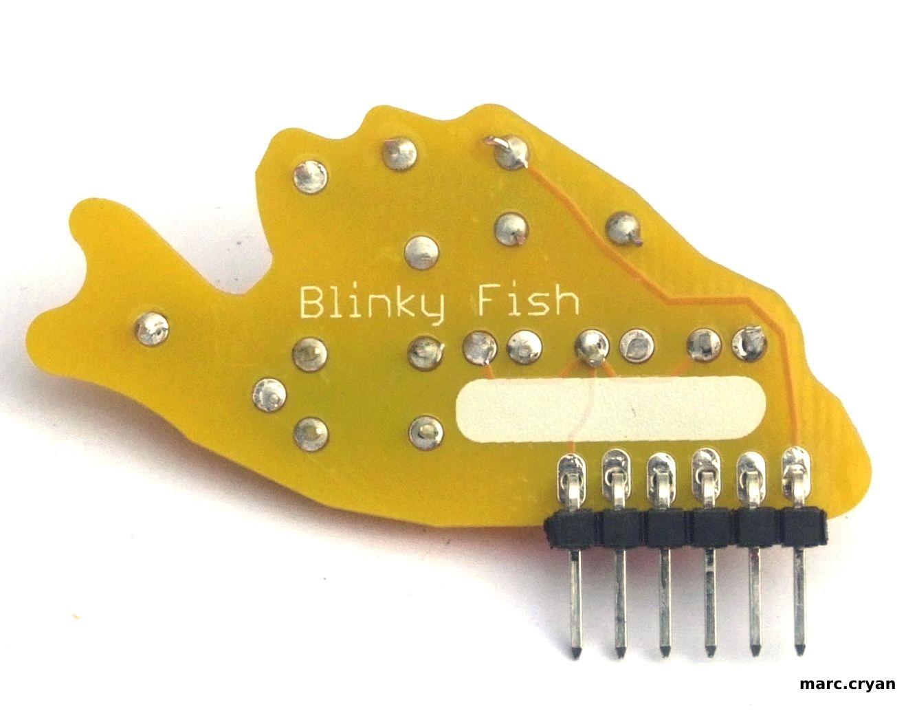 Blinky Fish - Kickstarter Project : 15 Steps - Instructables