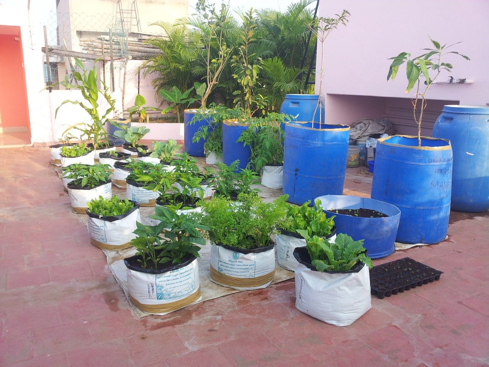 Roof Gardening : 21 Steps (with Pictures) - Instructables