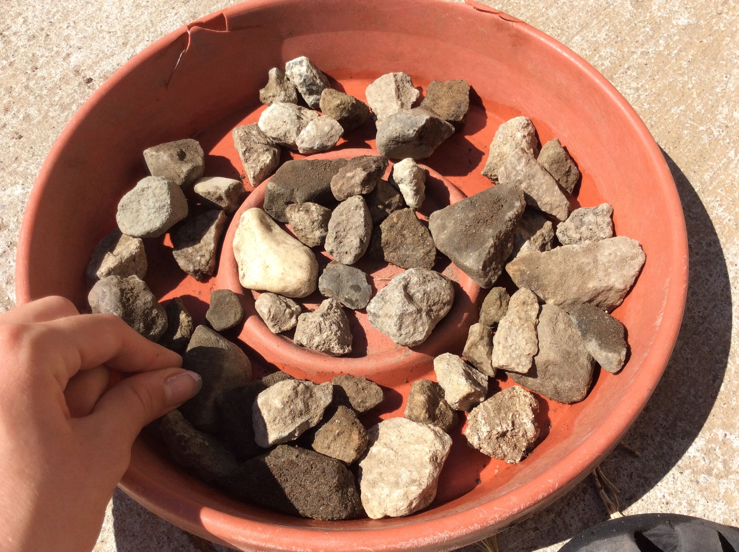 Make Your Own Bee Bath : 3 Steps - Instructables