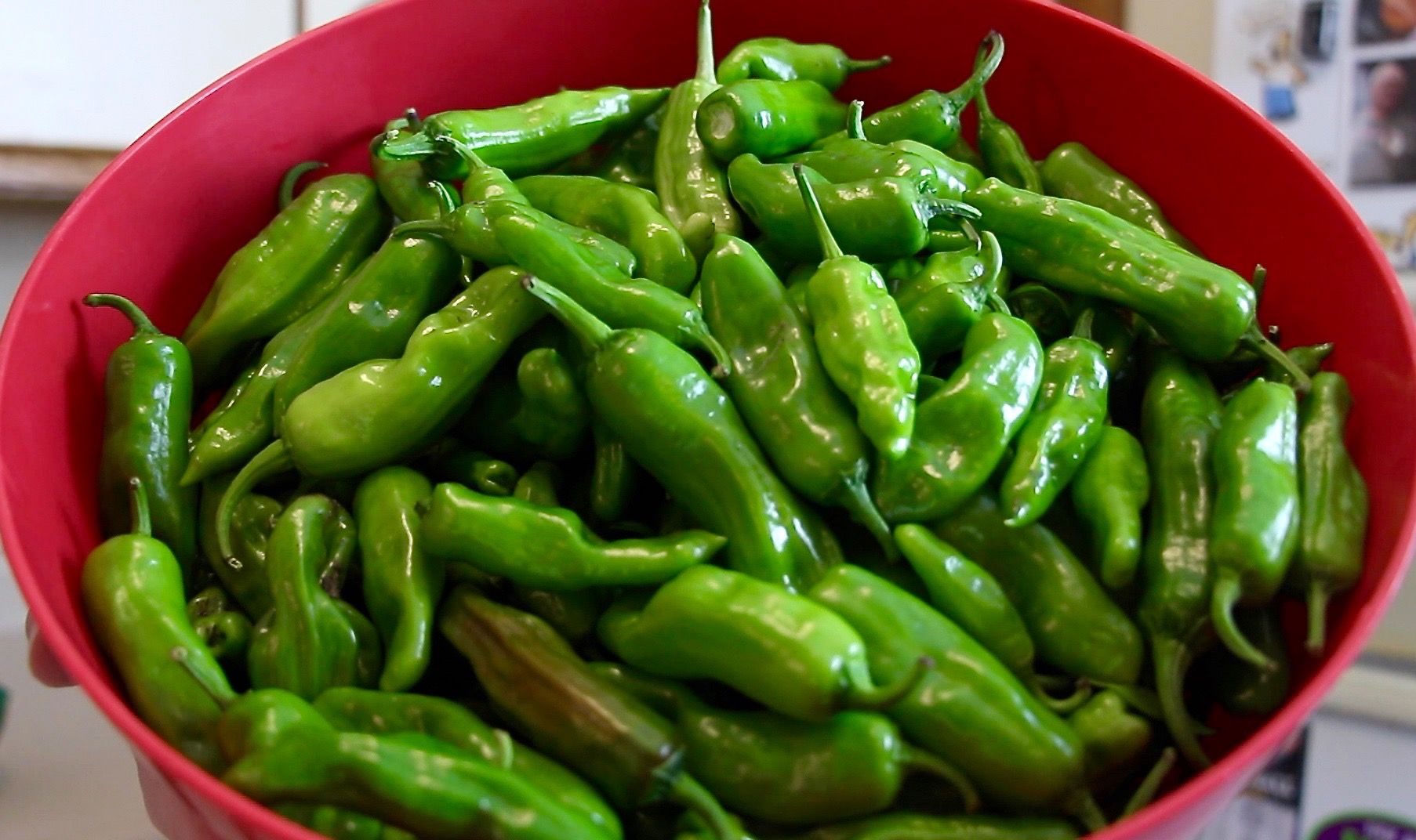 Pickled Peppers : 5 Steps (with Pictures) - Instructables