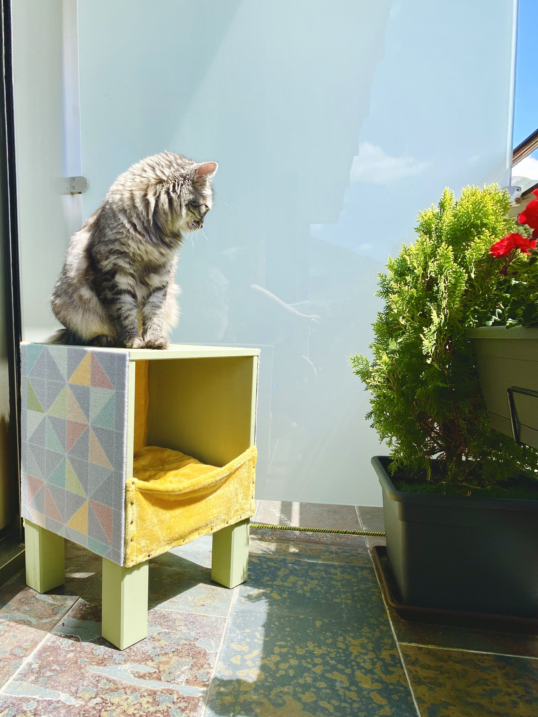 Cube Cat House : 11 Steps (with Pictures) - Instructables