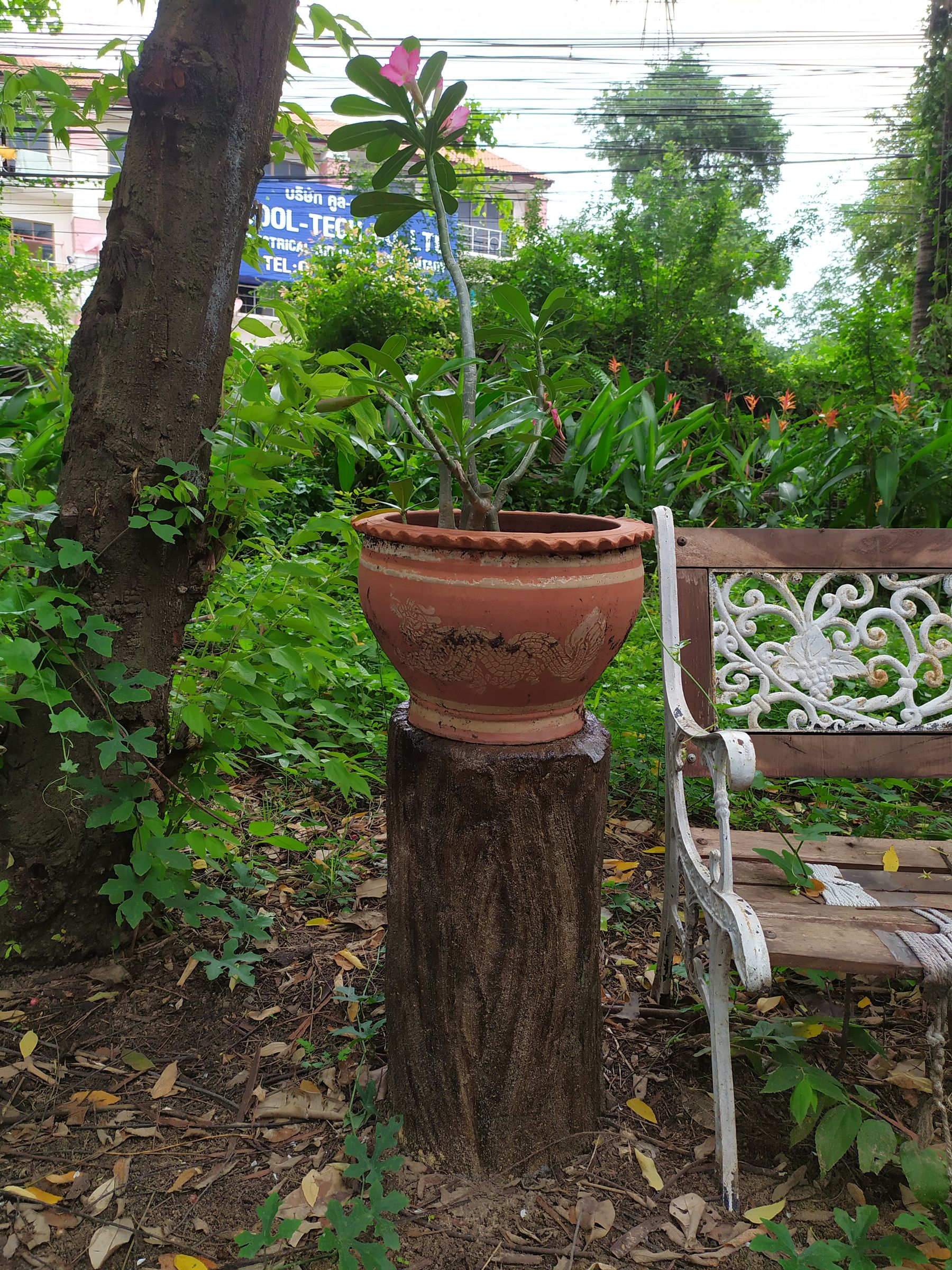 How to Make Concrete Tree Stump : 8 Steps (with Pictures) - Instructables