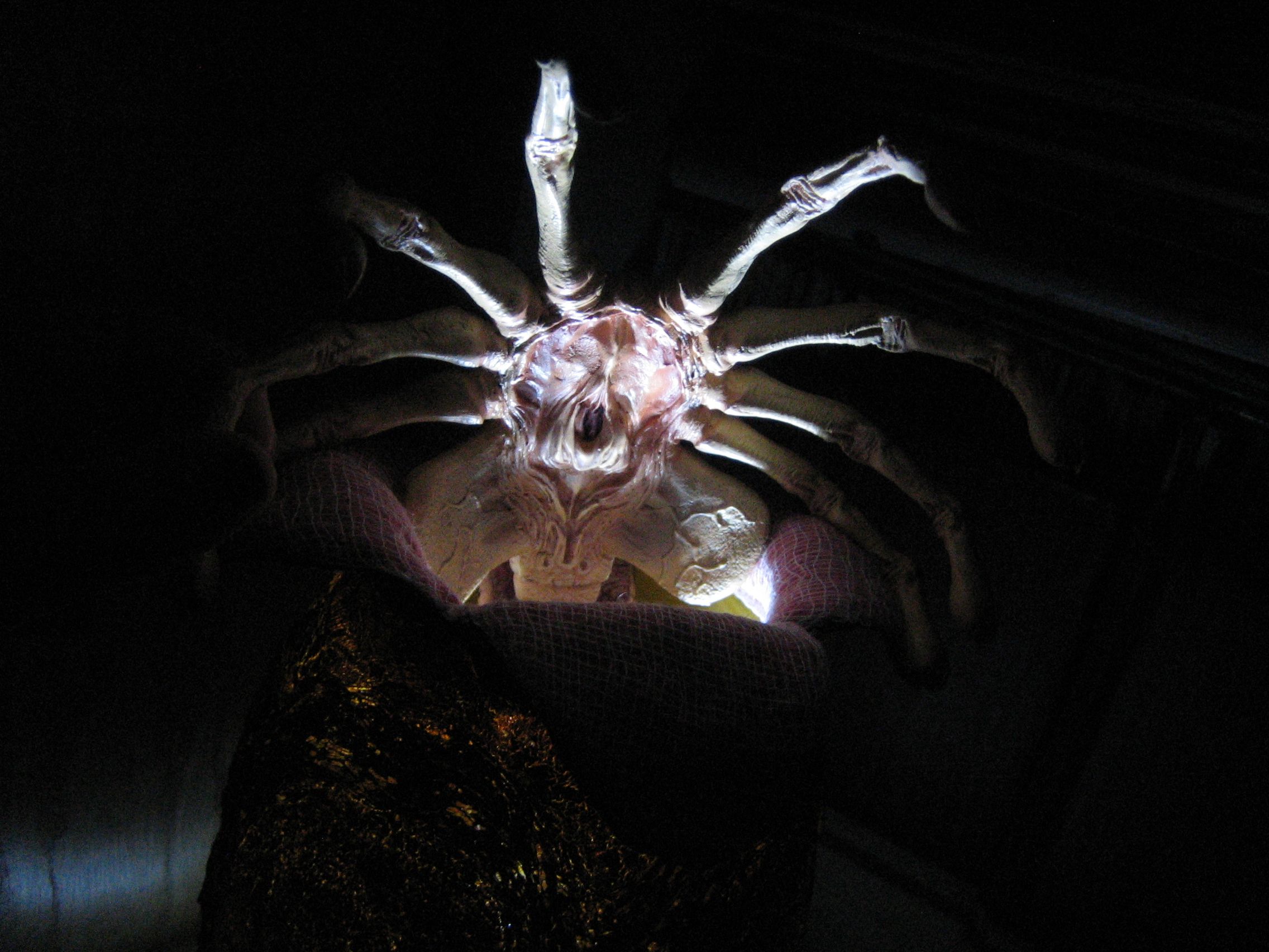 Alien Egg for Face Hugger (with Pictures) - Instructables