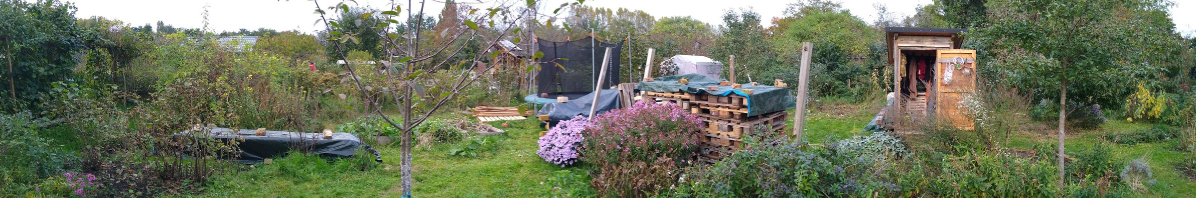 A-Frame Garden Shed From Reused Wood : 30 Steps (with Pictures ...