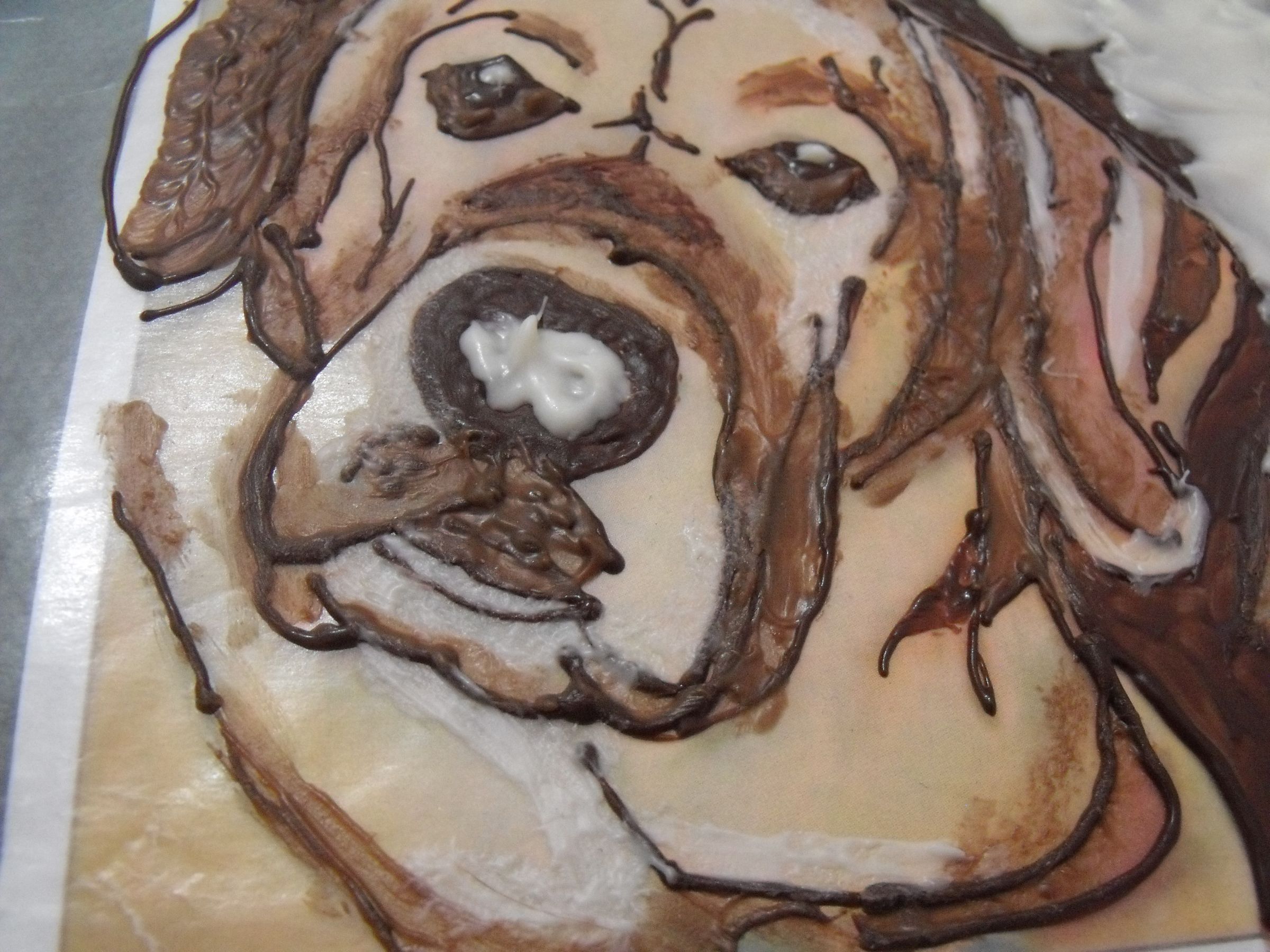 Painting With Chocolate. : 5 Steps (with Pictures) - Instructables