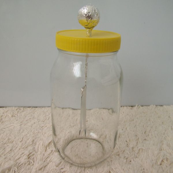 Aluminum Foil Electroscope : 12 Steps - Instructables