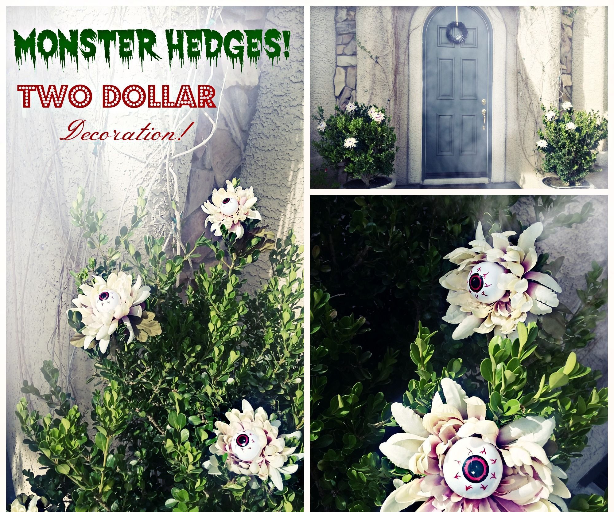 2 Dollar Monster Hedges! : 4 Steps (with Pictures) - Instructables