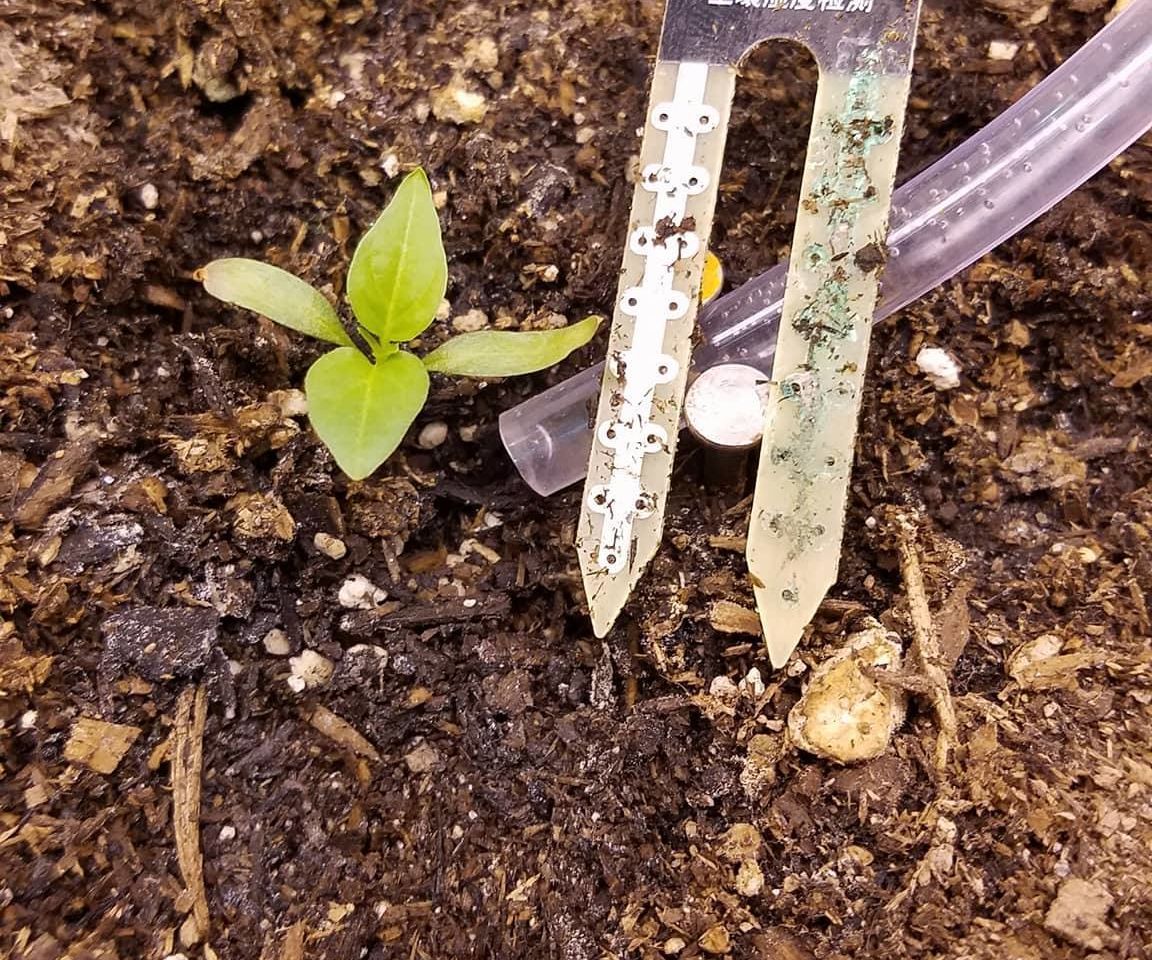 How to Test Soil Moisture Using Arduino and a Sensor : 6 Steps ...