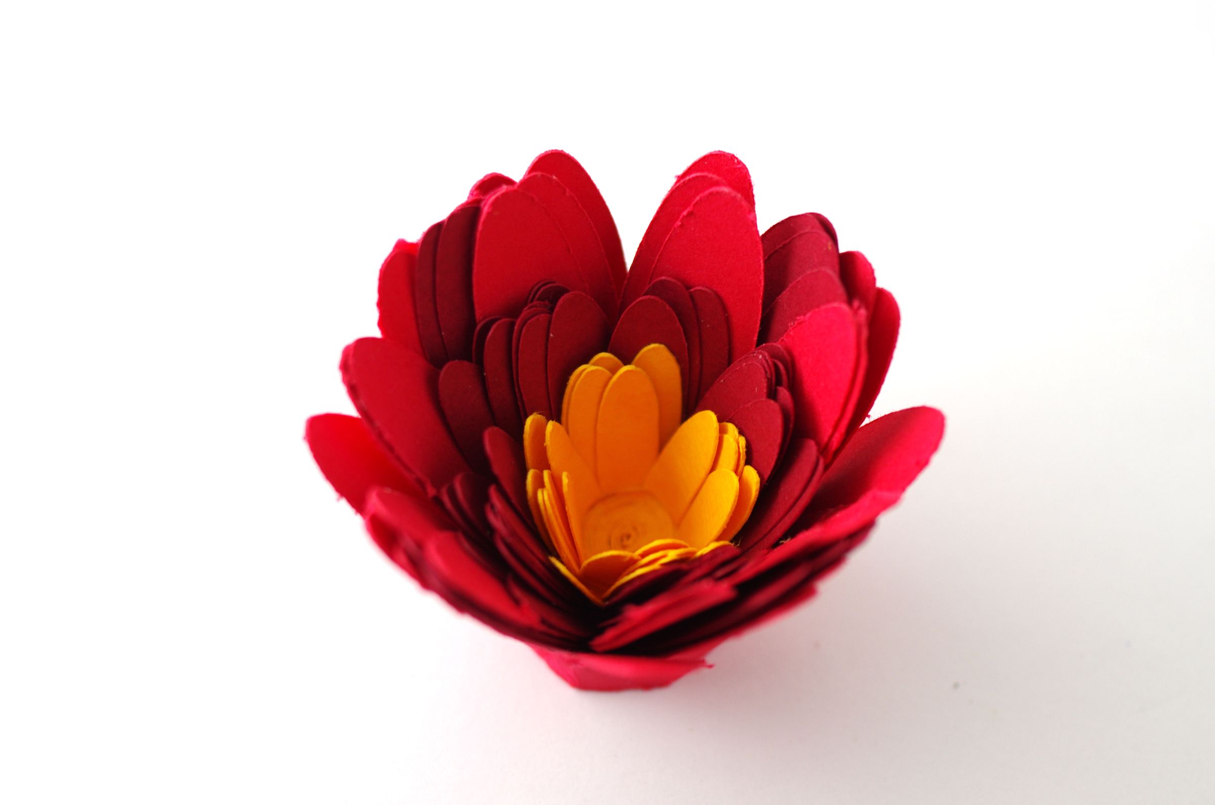 Quilling Flowers : 7 Steps (with Pictures) - Instructables