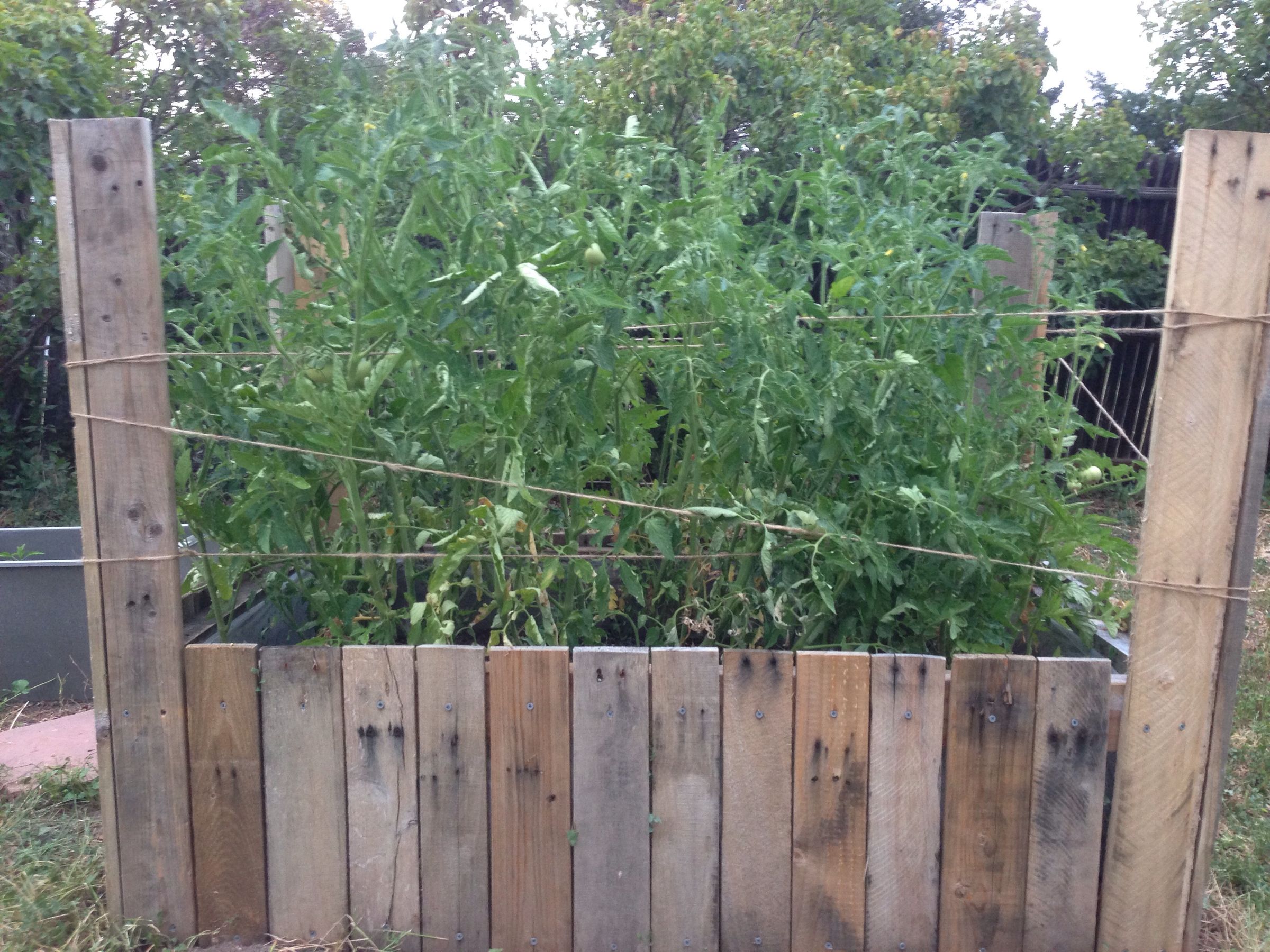 Raised Bed Pallet Planter *Updated August 21st, 2015* : 9 Steps (with ...