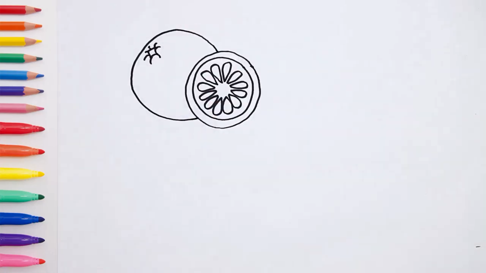 Let's Draw and Color Citrus Fruits With Cross Sections : 4 Steps ...