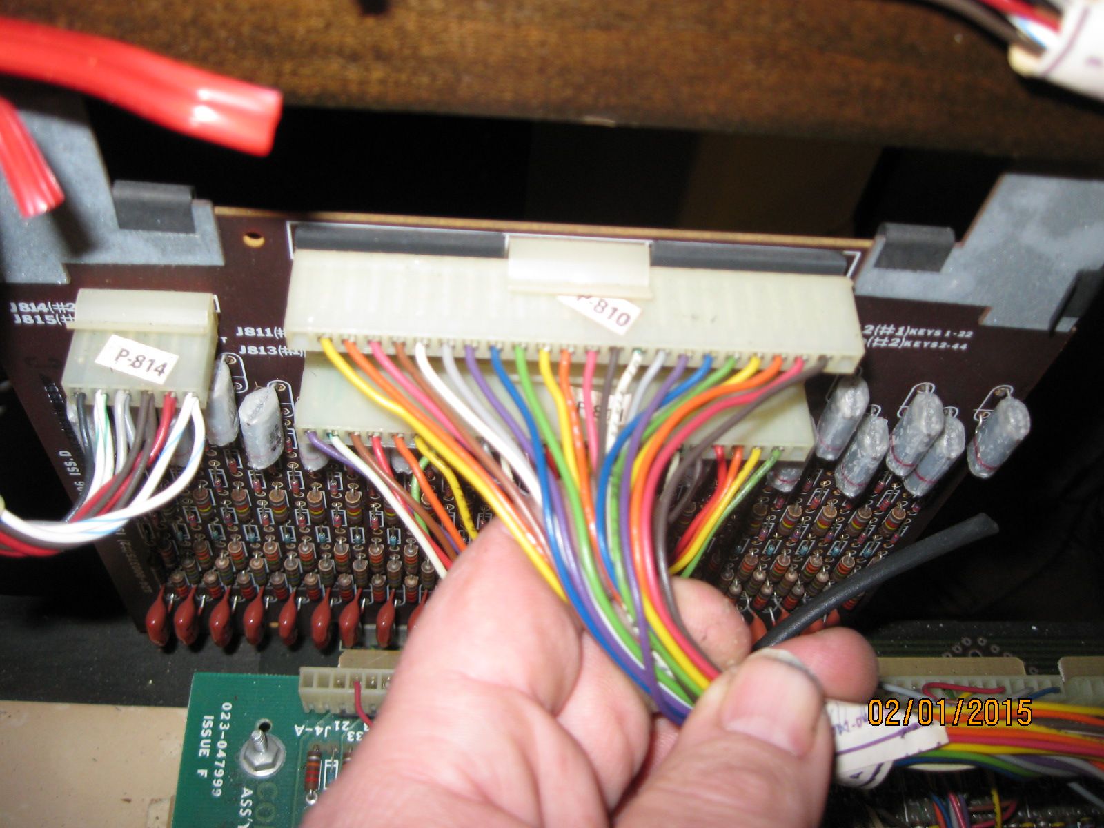 The Organ Donor Project- the Dissection : 5 Steps - Instructables