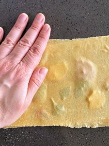 Home-made Pasta Laminated With Edible Flowers and Herbs : 8 Steps (with ...