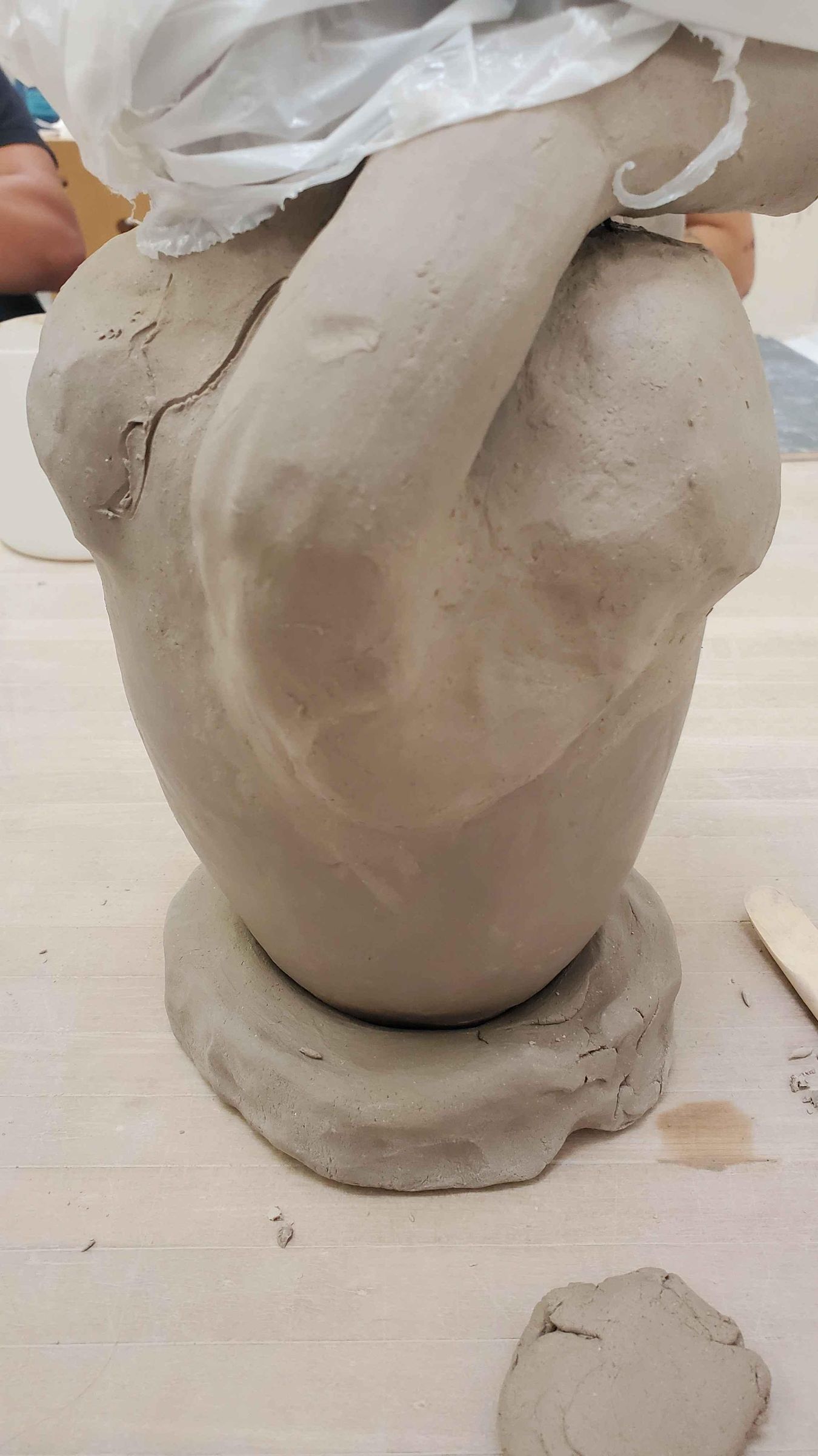 Anatomically Correct Heart - Clay : 11 Steps (with Pictures ...