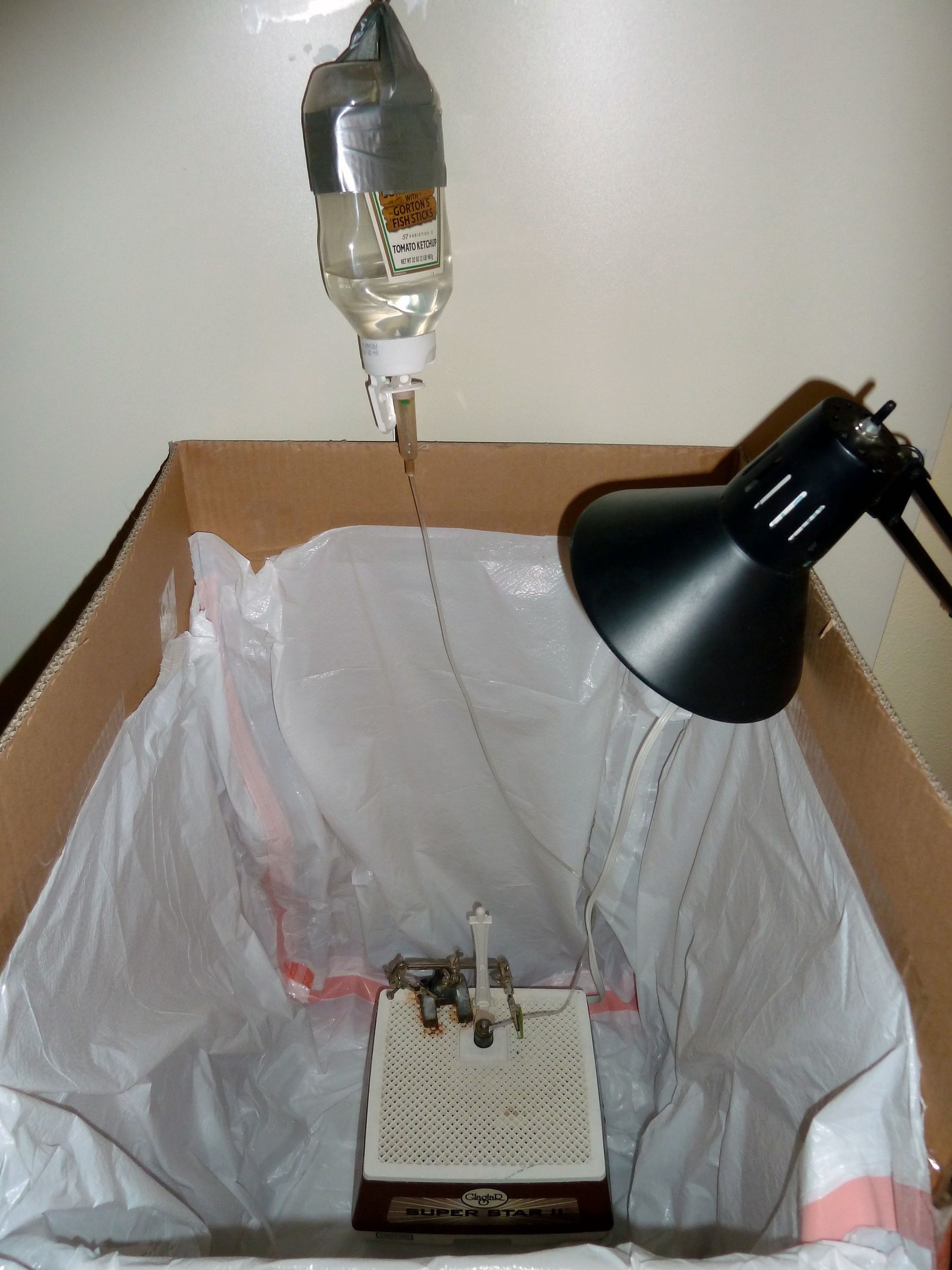 How To: Stained Glass : 9 Steps (with Pictures) - Instructables