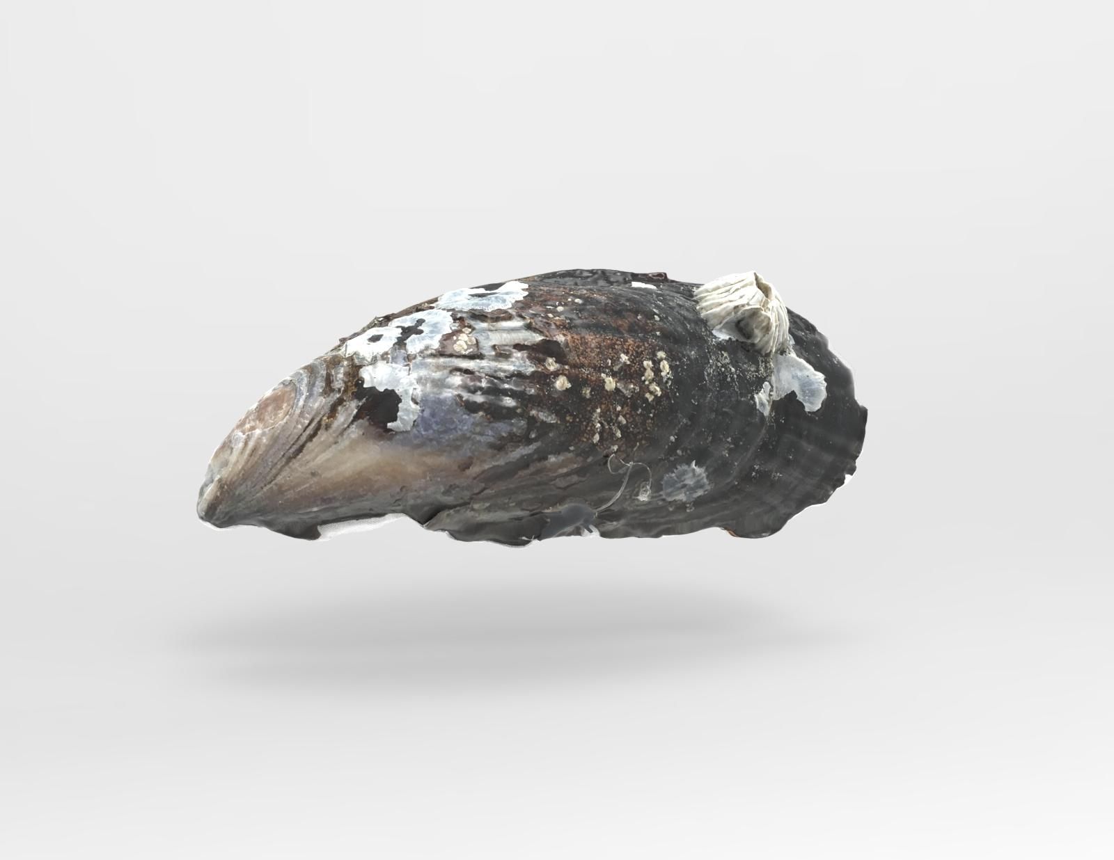 Photogrammetry : 4 Steps - Instructables