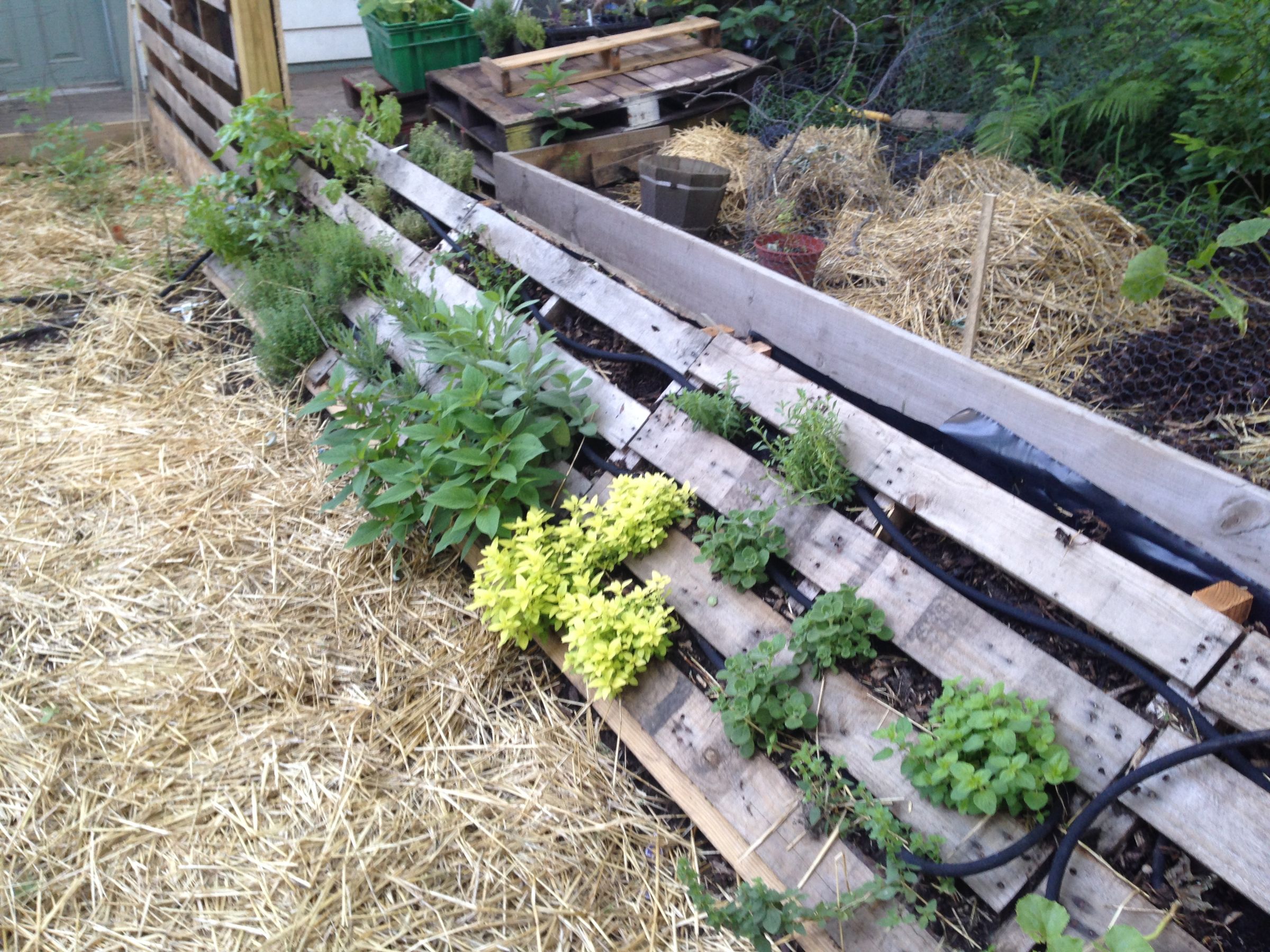 Outdoor Pallet Garden : 10 Steps (with Pictures) - Instructables