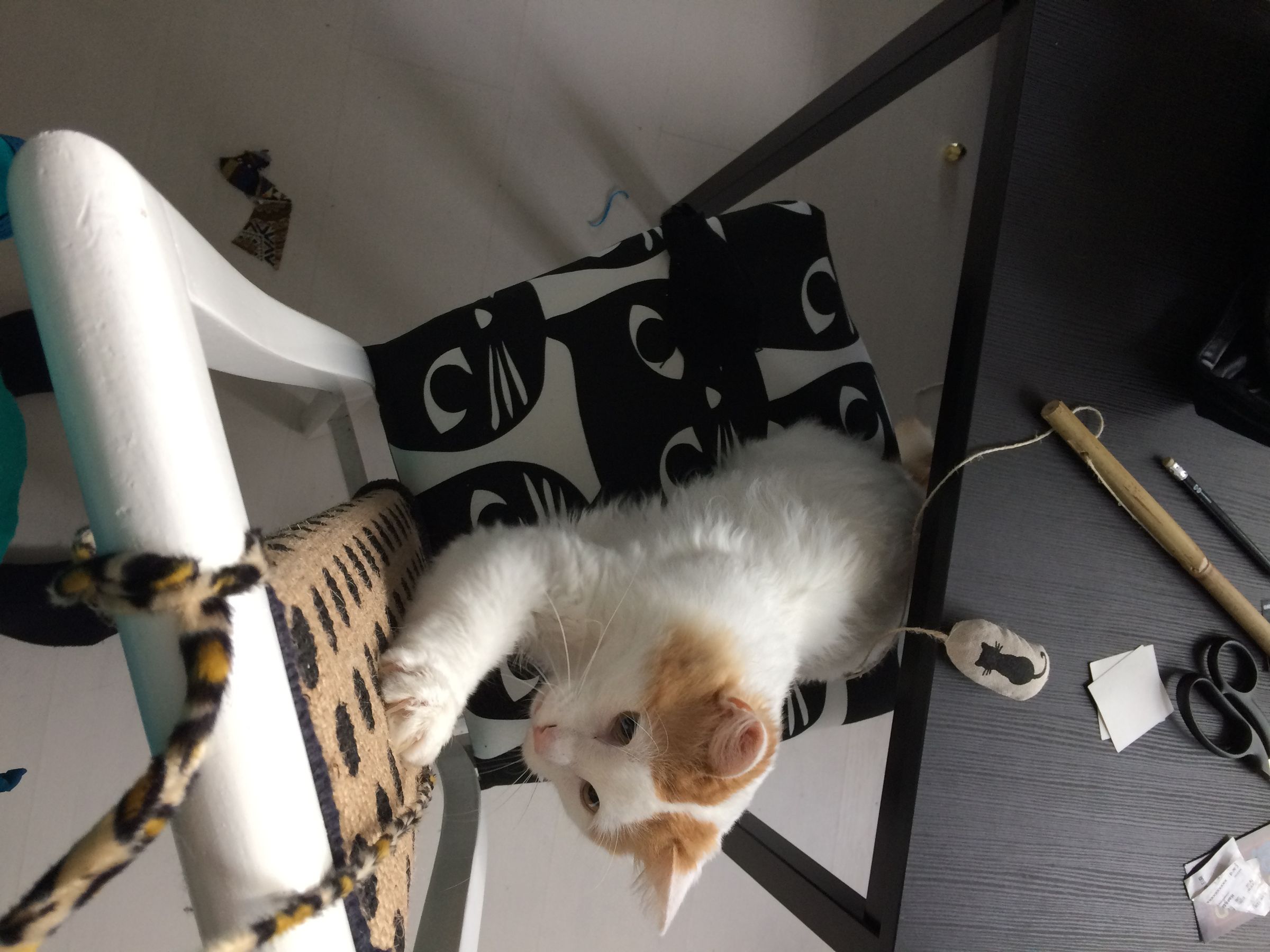 Scratching Chair : 4 Steps (with Pictures) - Instructables