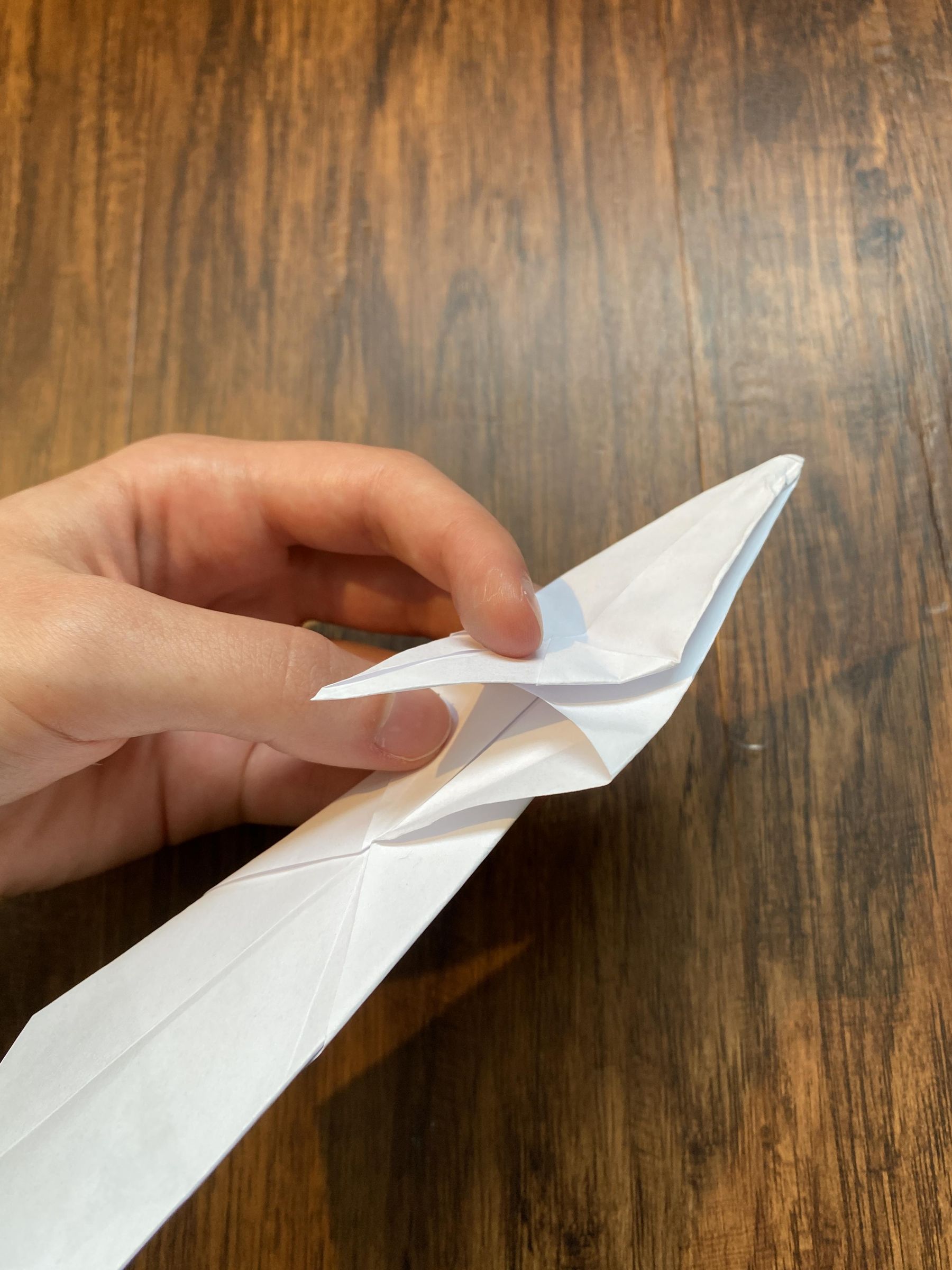 Painted Origami Gator : 18 Steps (with Pictures) - Instructables